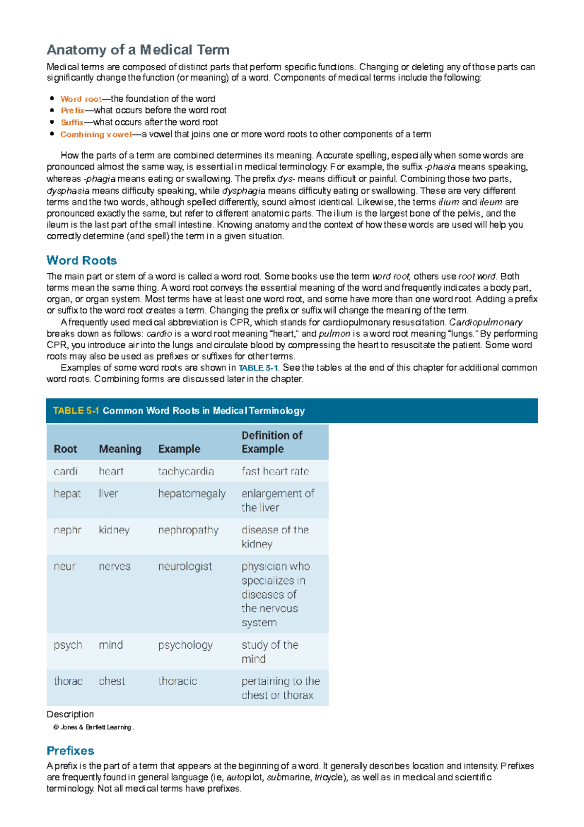 HOSAtryout - This is useful - Anatomy of a Medical Term Medical terms ...