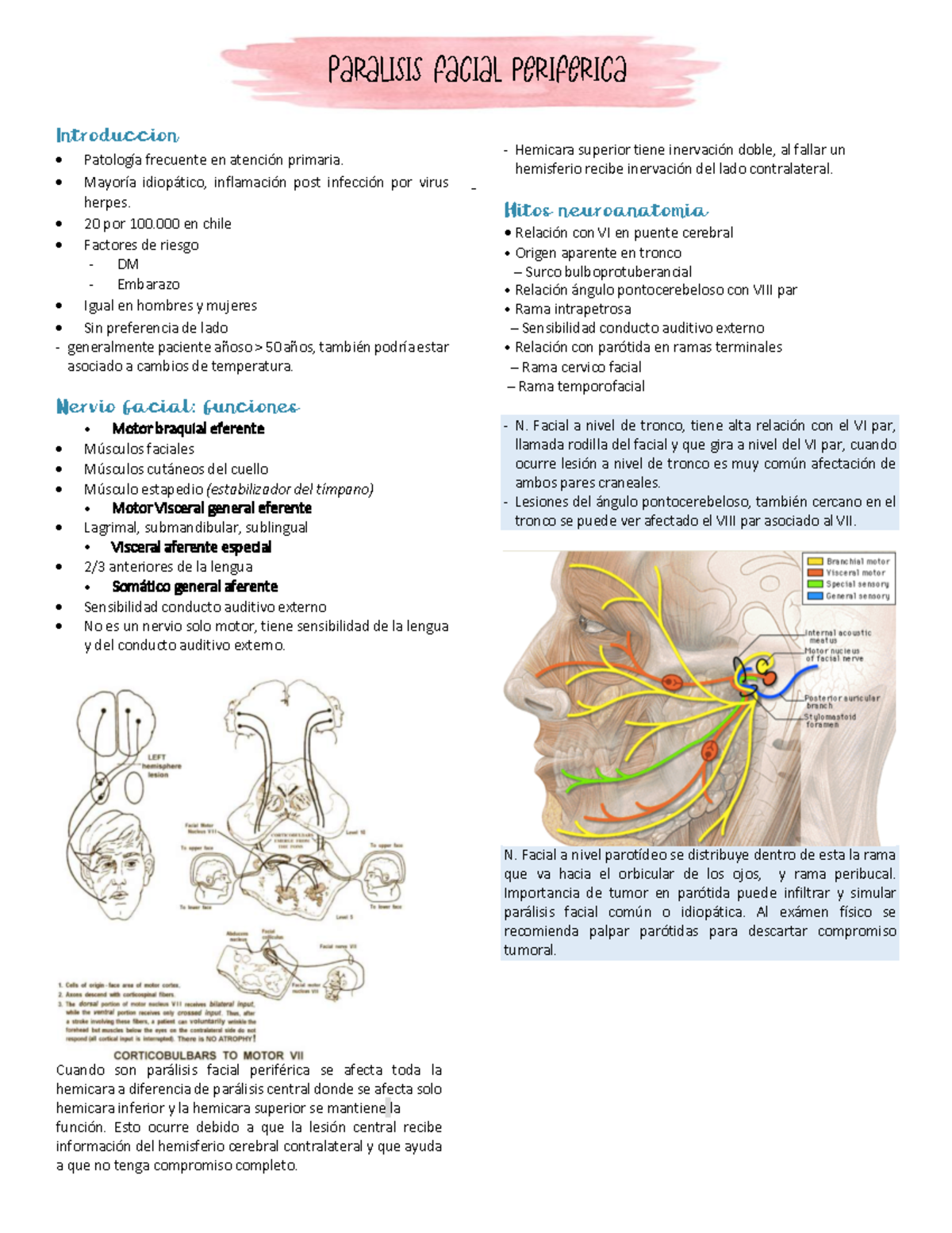 Paralisis periferica VII - Introduccion Patología frecuente en atención ...