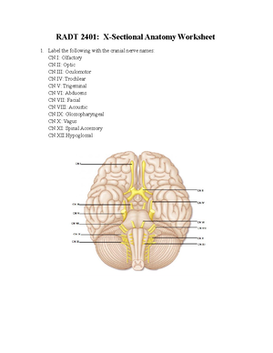 Radiation Therapy Worksheet - RADT 2401 – Imaging Systems Radiation ...