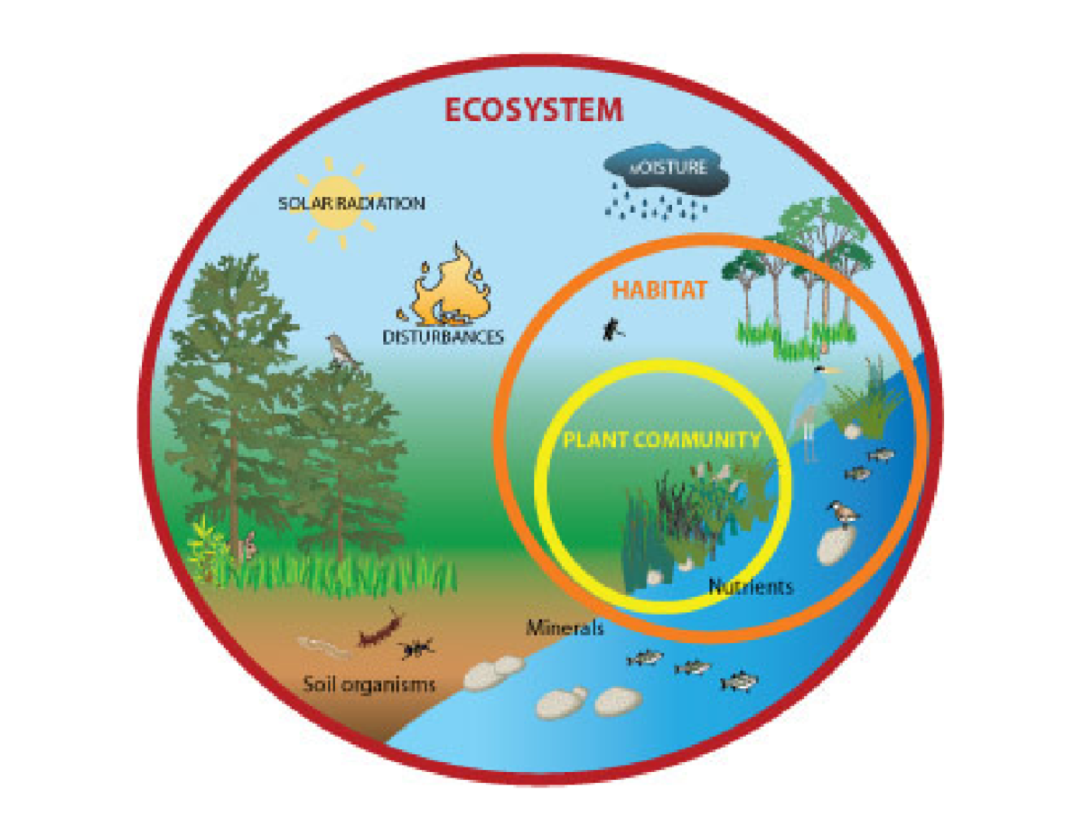 1. Ecosystem - All the ecosystems of ####### the planet put together ...