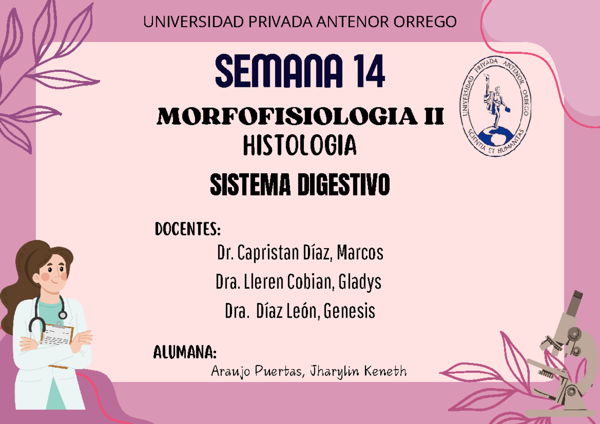 Araujo Puertas, Jharylin Keneth - S14 - TABLA COMPORATIVA DEL TUBO DIGESTIVO - Morfofisiología ...