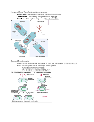 MMSC exam 2 study guide - microbio notes for class - Describe ...