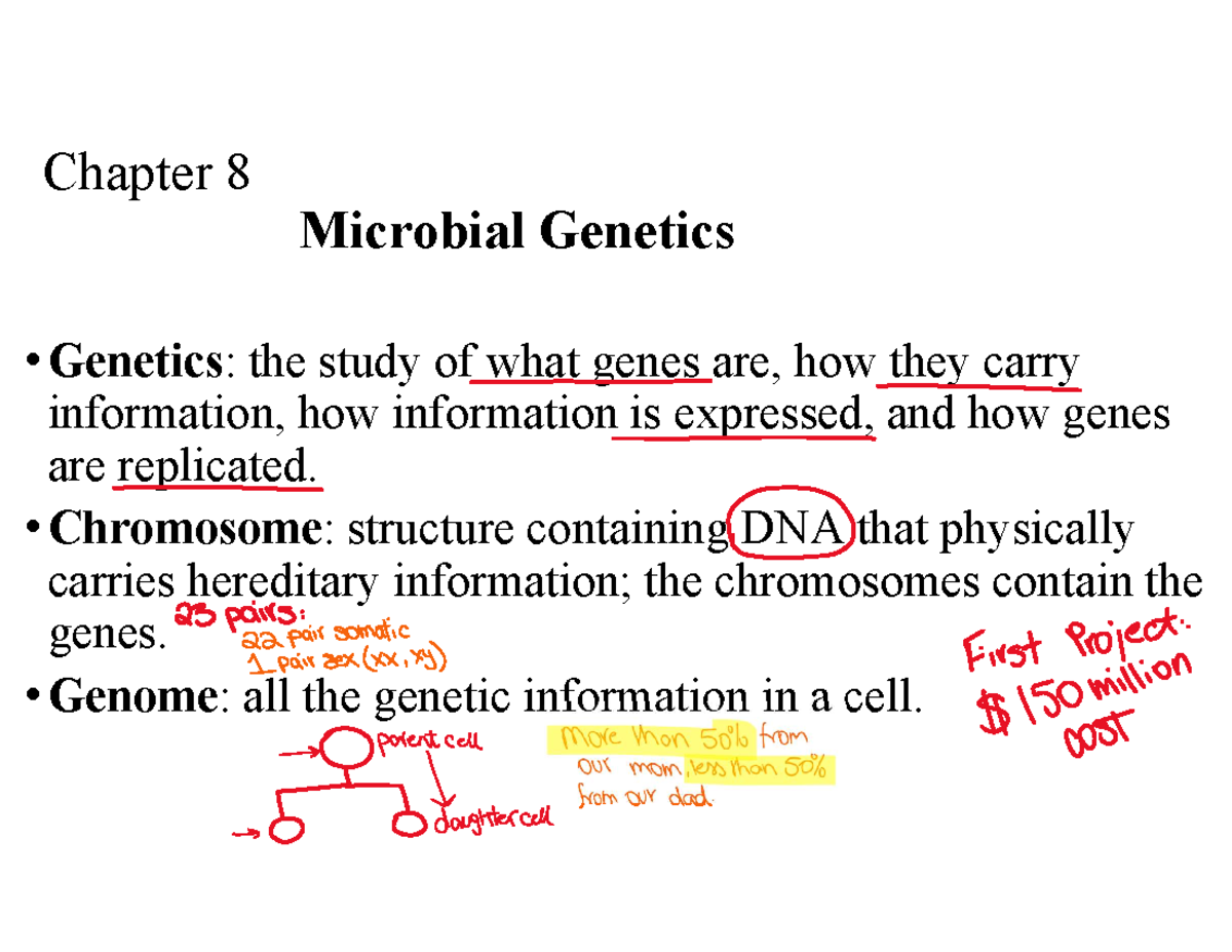 Chapter 8 Notes - Microbial Genetics, DNA Replication, Types of RNA ...
