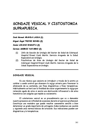 ANATOMÍA DEL SISTEMA REPRODUCTOR MASCULINO - FIMOSIS Y PARAFIMOSIS ...