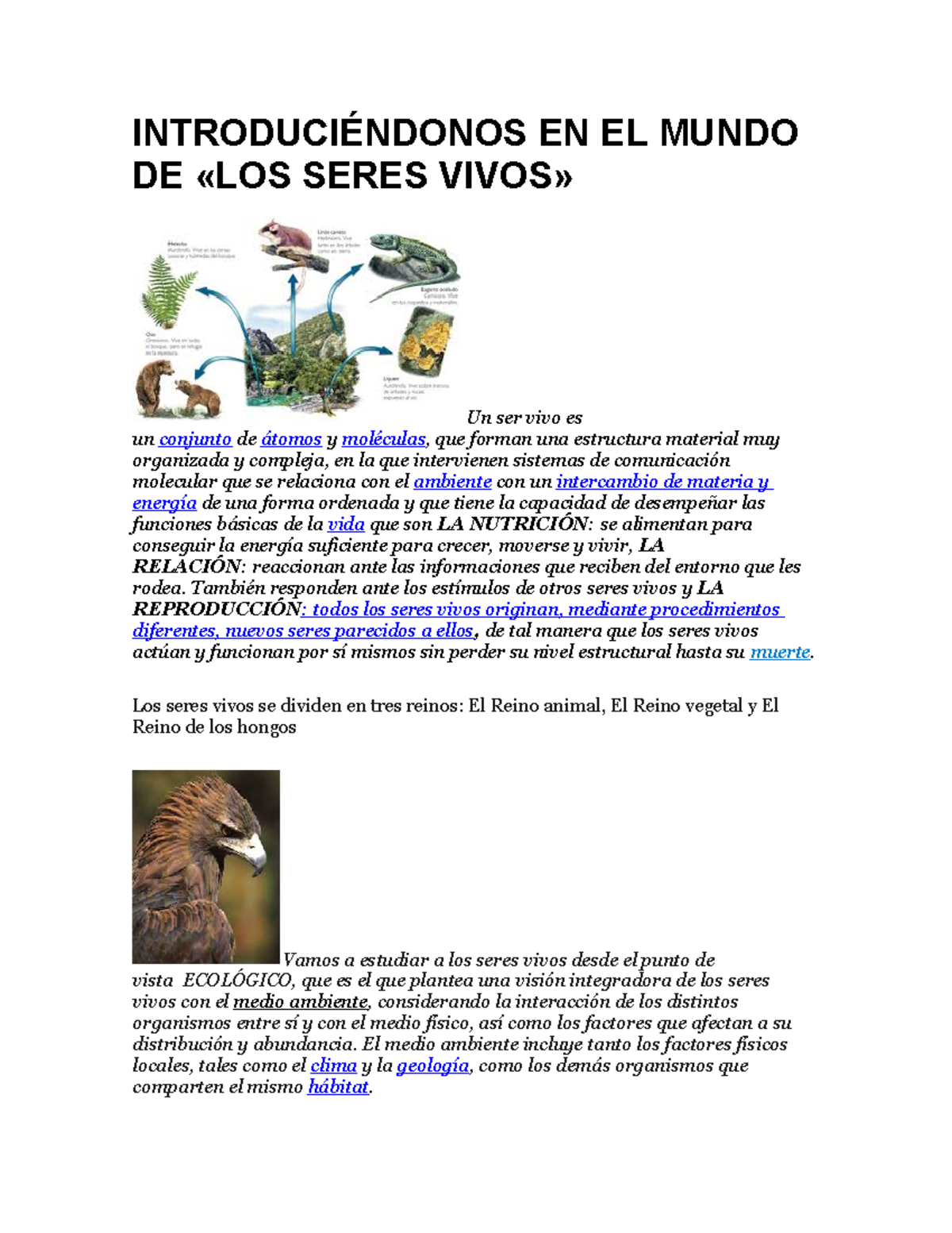 Lo seres vivos - INTRODUCIÉNDONOS EN EL MUNDO DE «LOS SERES VIVOS» Un ...