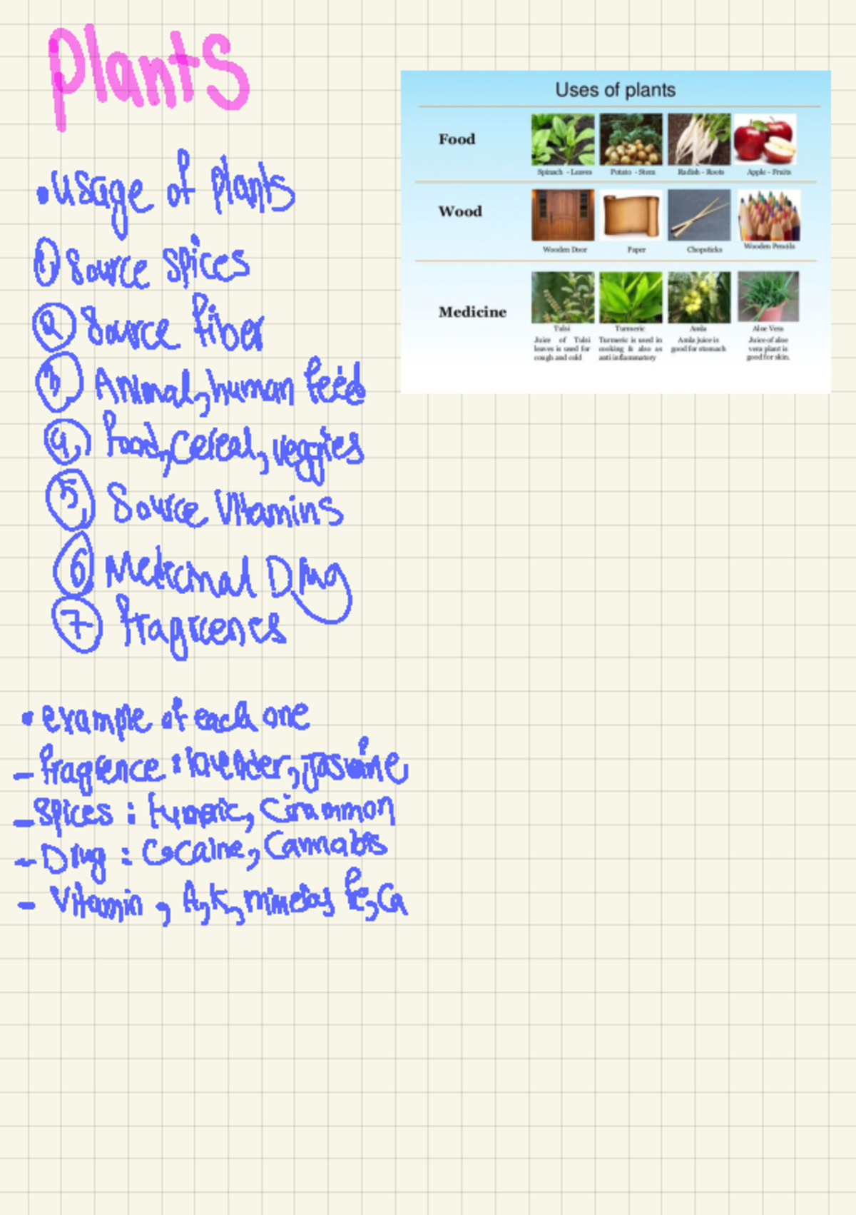 Study Guide Plant 3 - biology notes - · usage ofplants &source spices ...