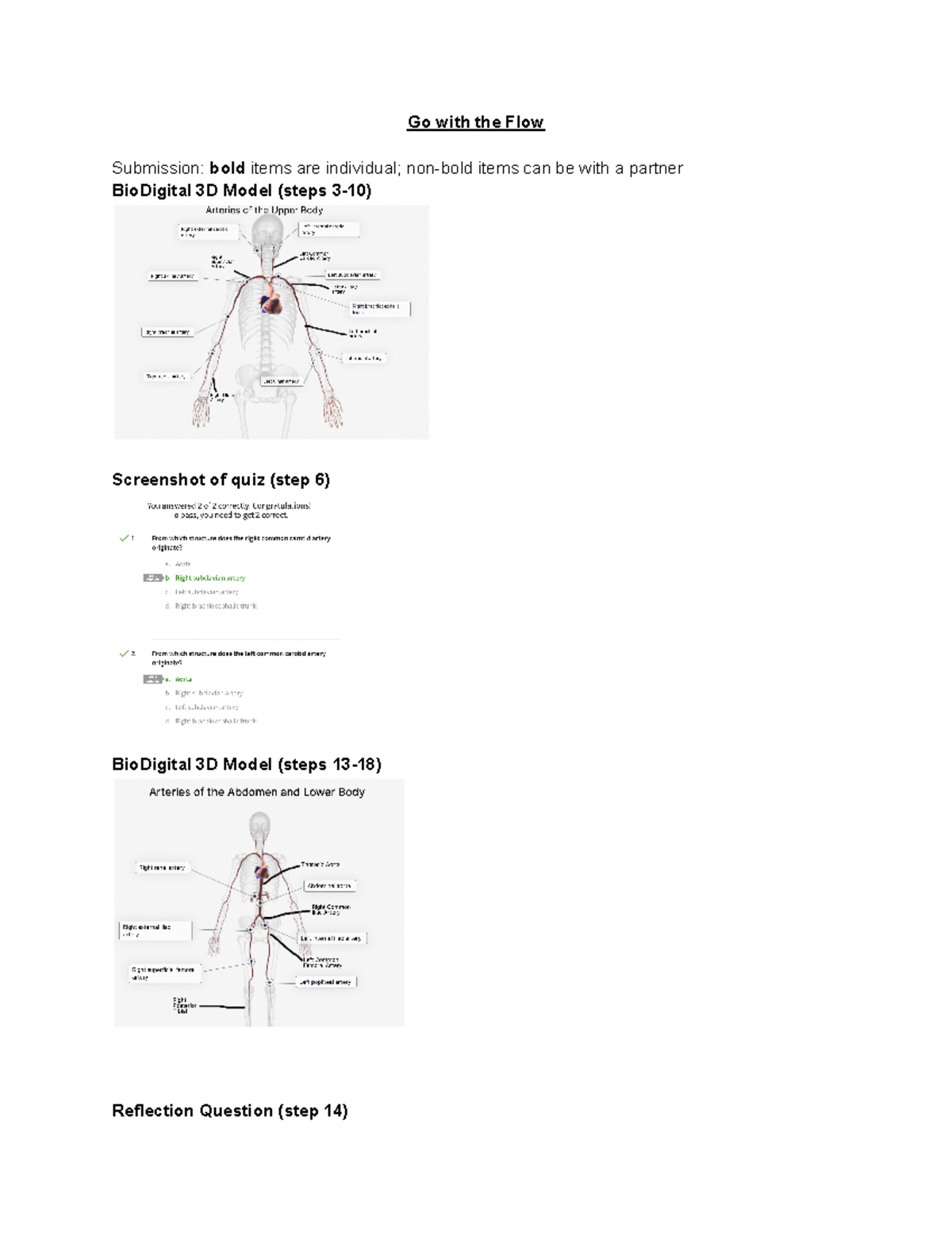 Go with the Flow - The flow and production of transportation of blood ...