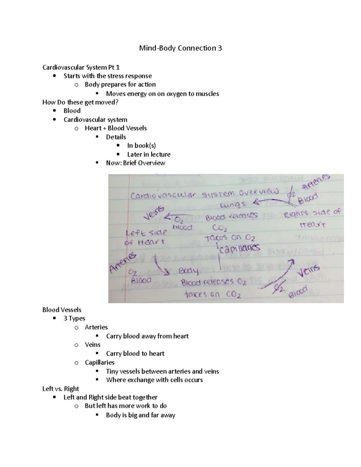 Mind Body Connection 3 - Lecture notes Unit 3 - Connection 3 ...