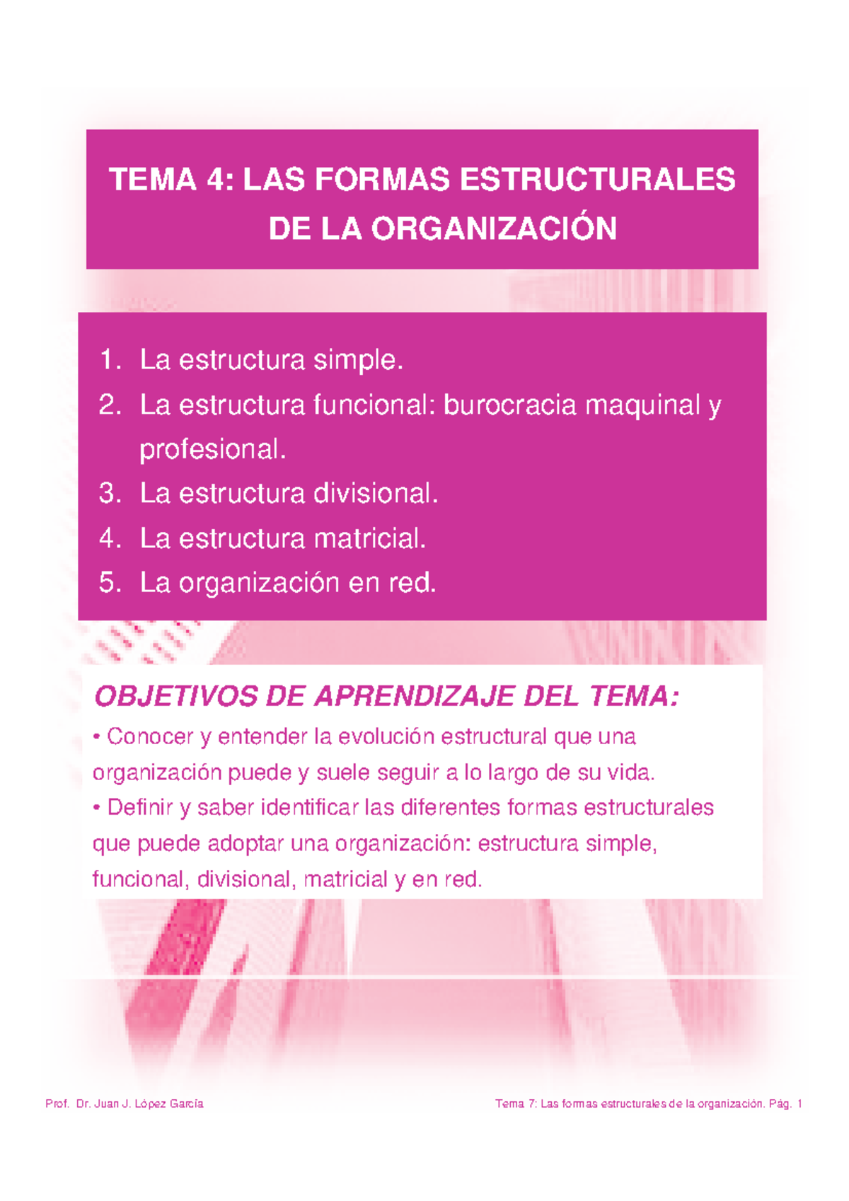 TEMA 4 LAS Formas Estructurales DE LA Organización - TEMA 4: LAS FORMAS ...