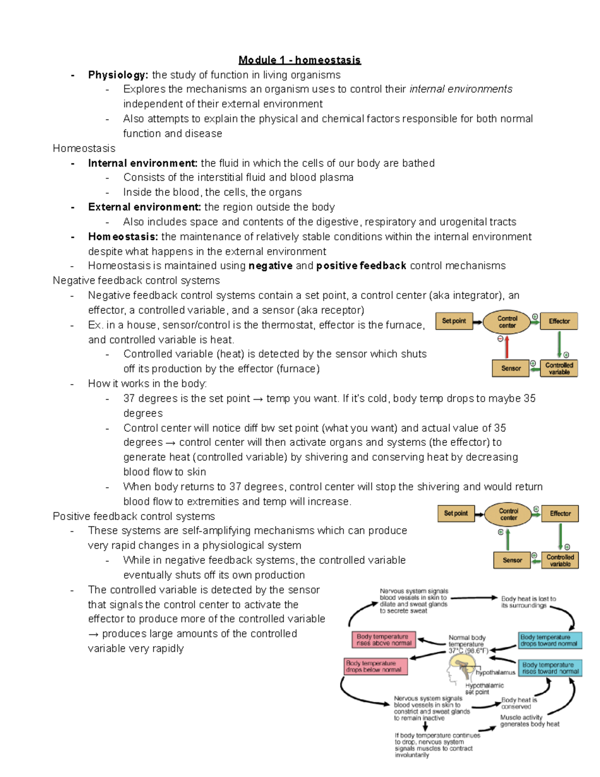 Module 1 - homeostasis - Module 1 - homeostasis Physiology: the study ...
