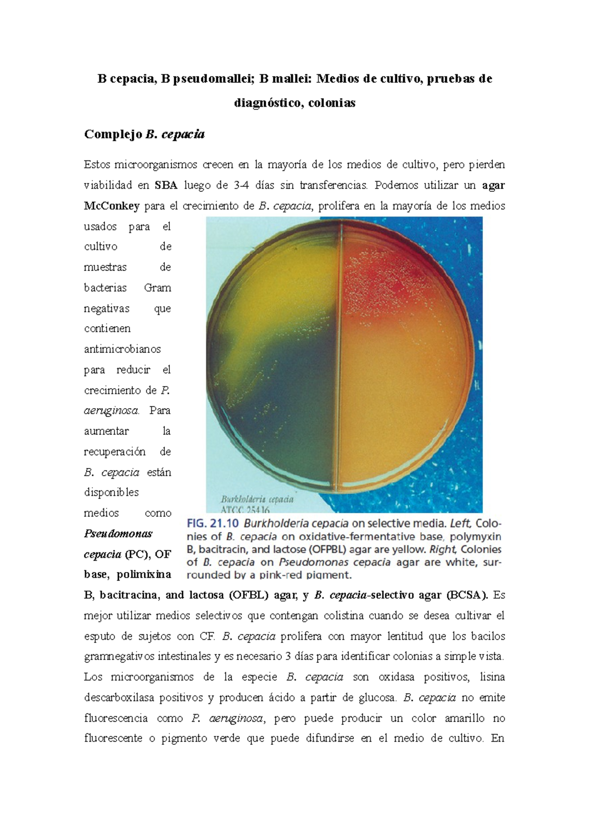 B Cepacia B Pseudomallei B Mallei Medios De Cultivo Pruebas De
