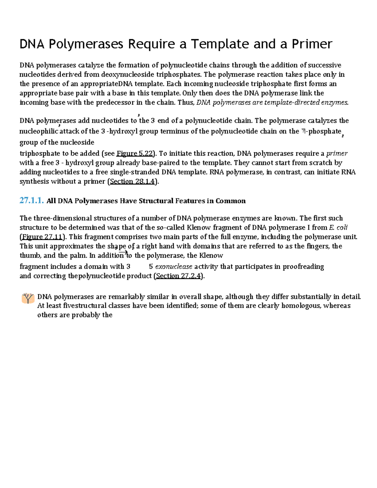 DNA Polymerases Require a Template and a Primer - The polymerase ...