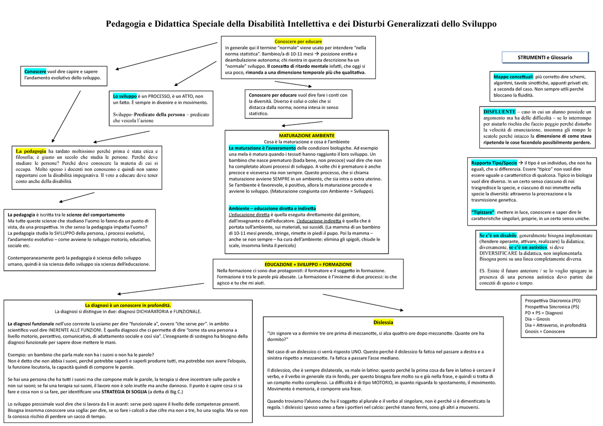 Schema 1 - Pedagogia e Didattica Speciale della Disabilità Intellettiva ...