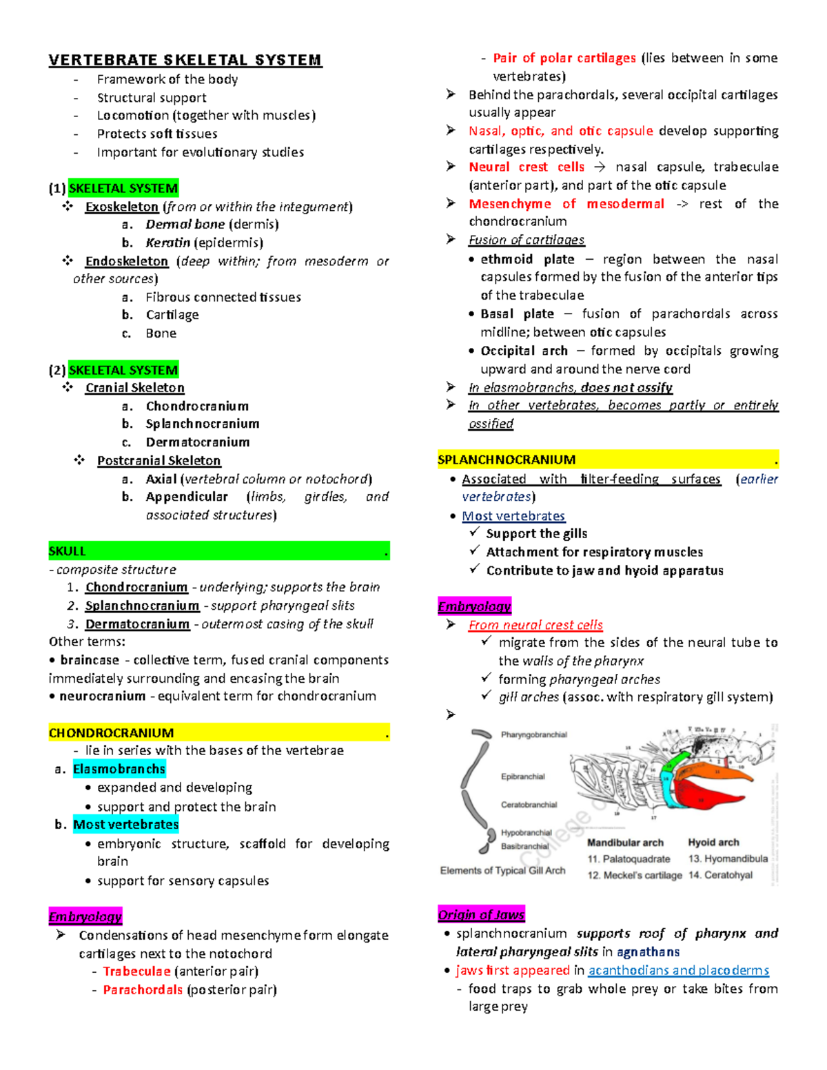 Notes on Vertebrate Skeletal System - VERTEBRATE SKELETAL SYSTEM ...