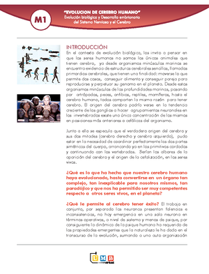 MR Mandibulas - manual de mr. mandíbulas para mejorar tu apariencia ...