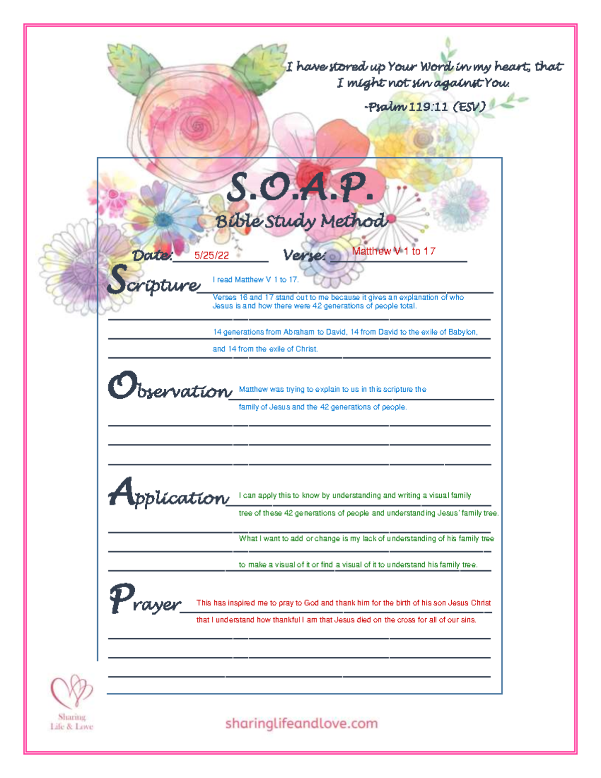 Matthew V 1 to 17 - I used the SOAP bible method to help analyze this ...