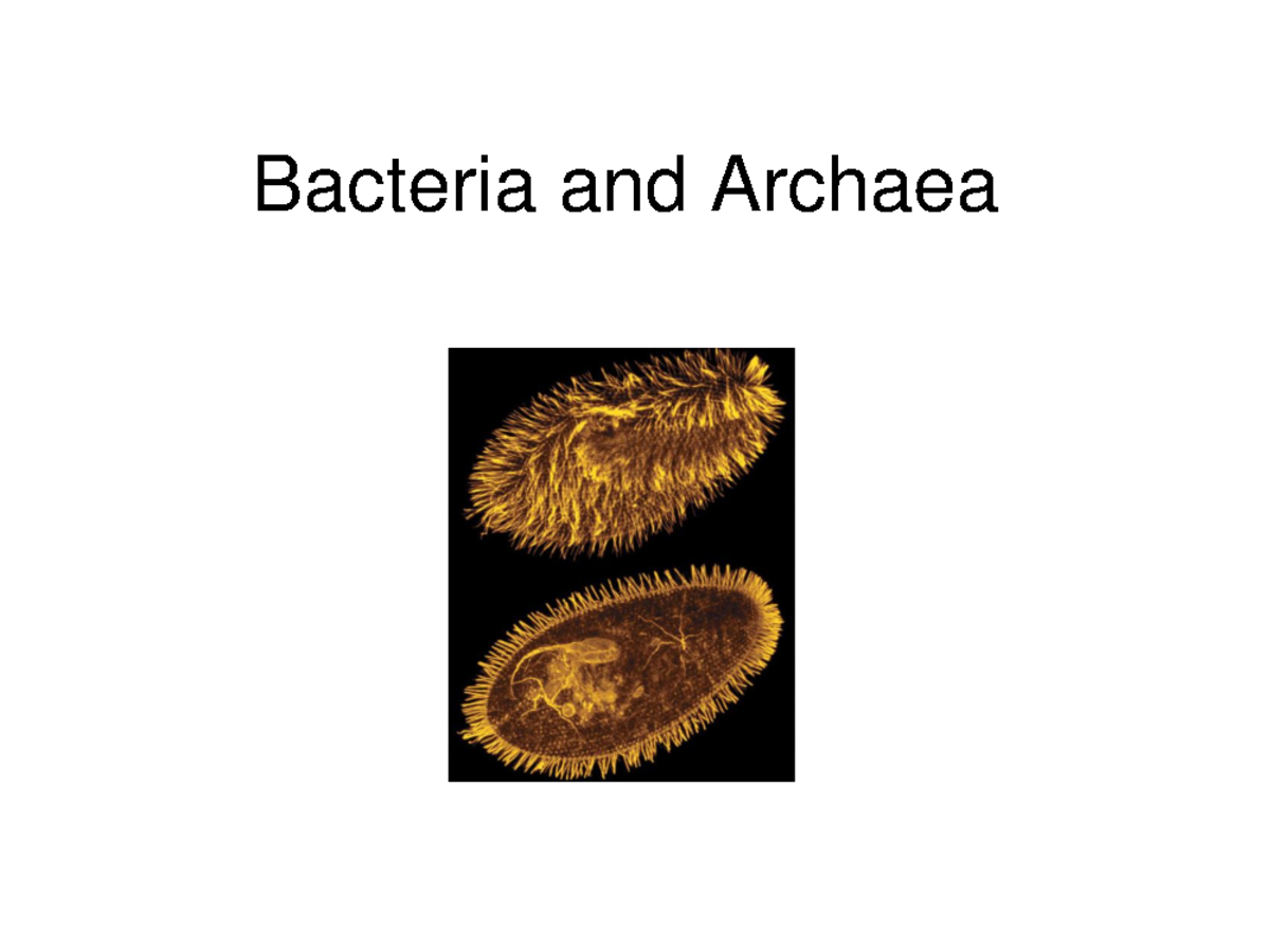 Lecture notes, lecture 2 - Bacteria and archaea - Bacteria and Archaea ...