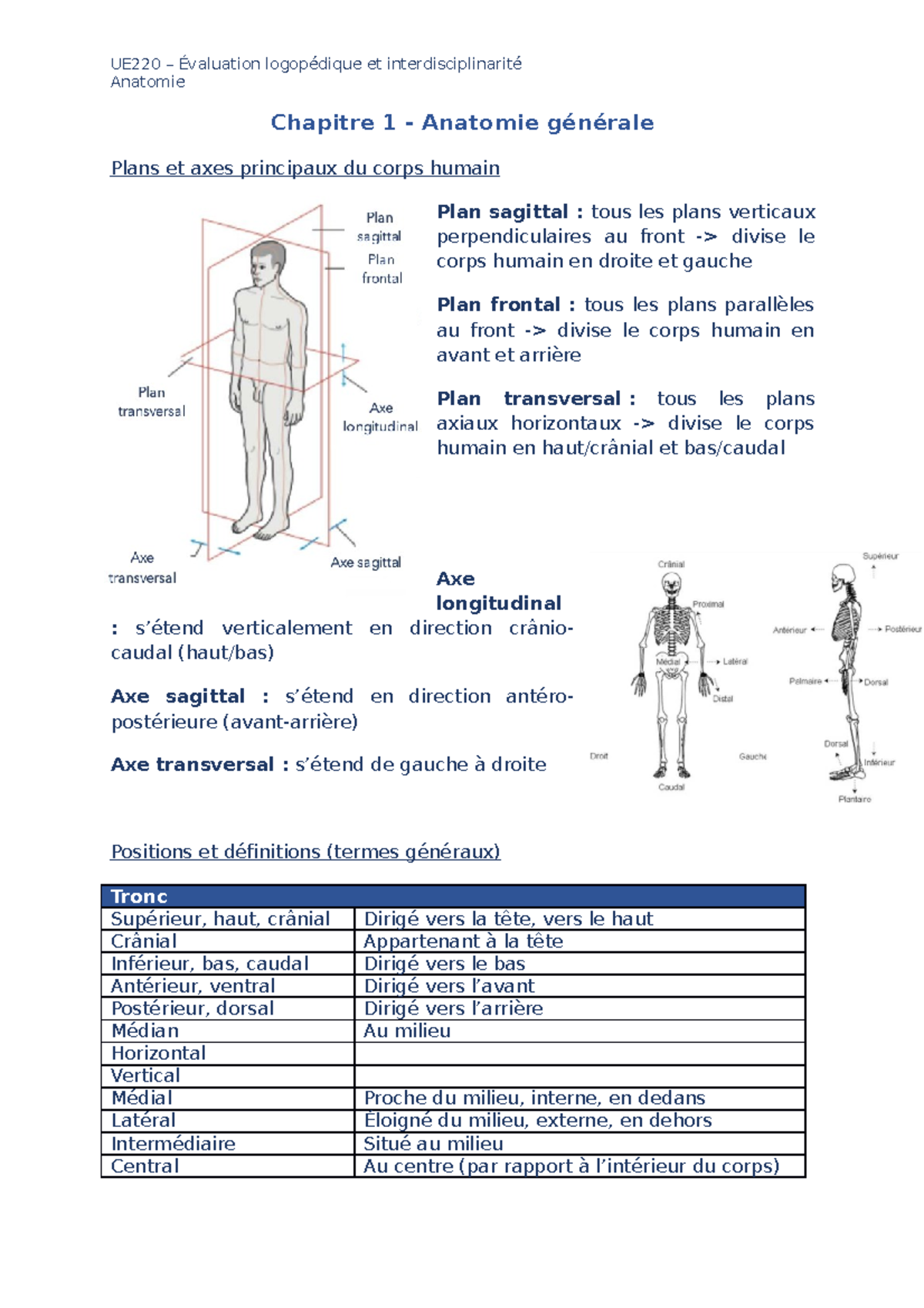 Chapitre 1 - Anatomie générale - Anatomie Chapitre 1 - Anatomie ...
