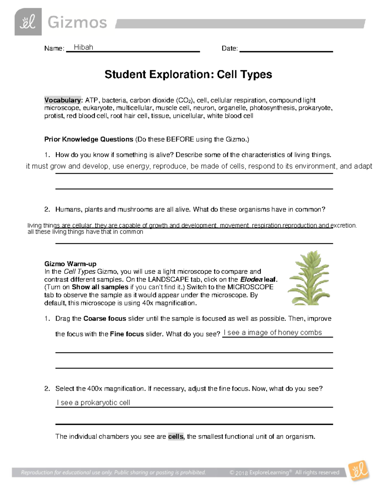 Cell Types Gizmo - yeya - Name: Date: Student Exploration: Cell Types ...