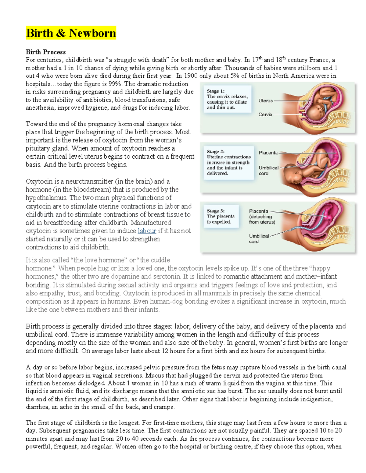 CH3 - Birth & Newborn (Winter 2024 ) - Birth & Newborn Birth Process ...