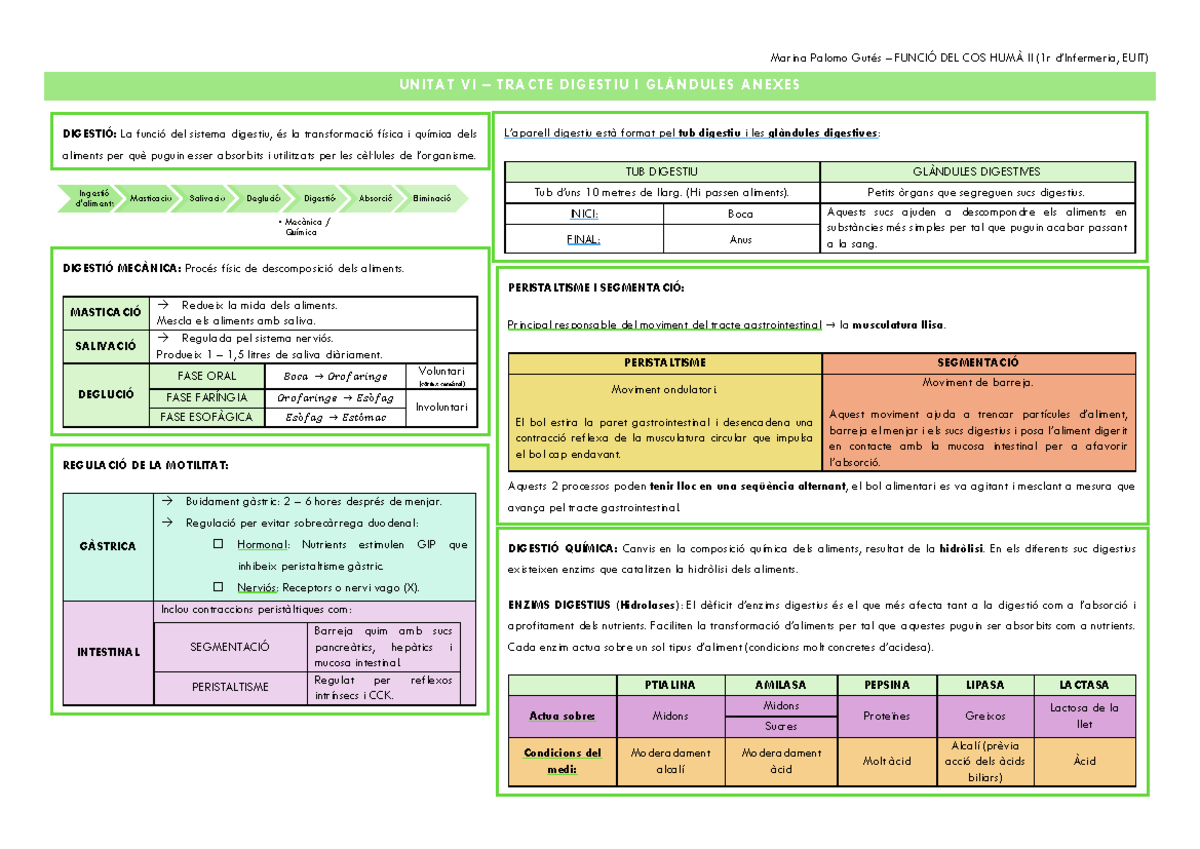 Unitat 6 - Sistema digestiu (esquema-mpg) - UNITAT VI – TRACTE DIGESTIU ...