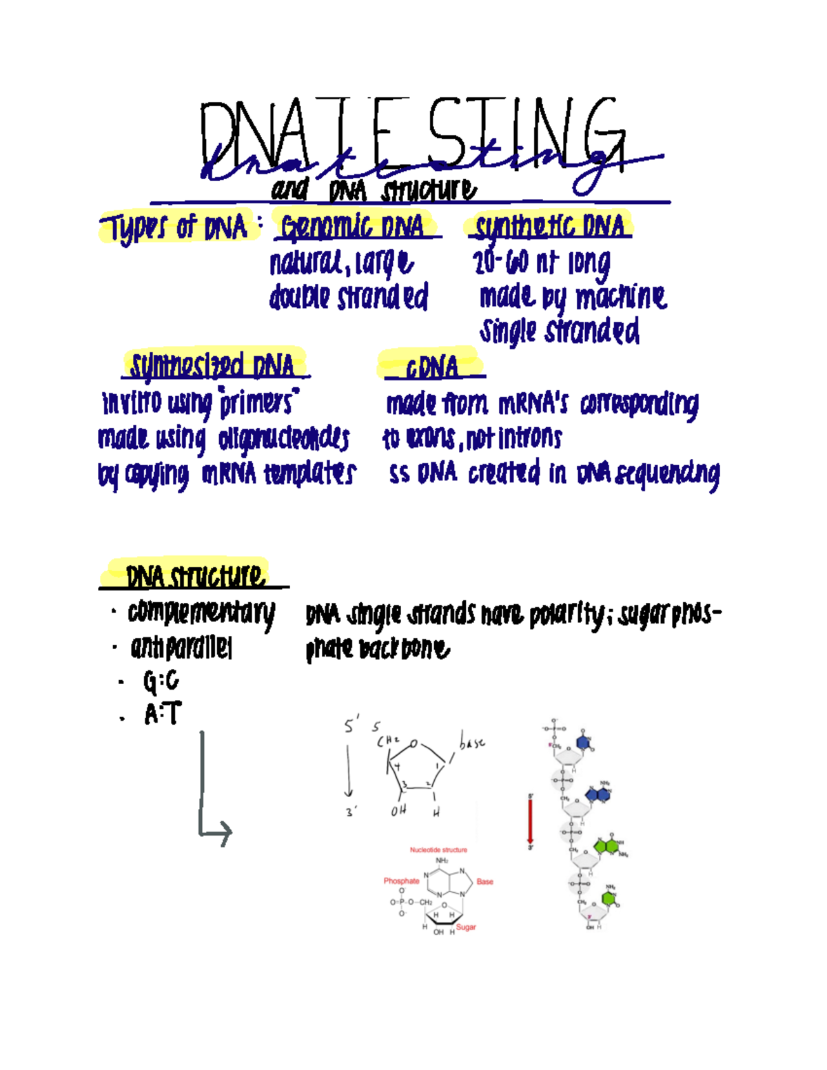DNA Testing and DNA structure - BIOS-3453 - Studocu