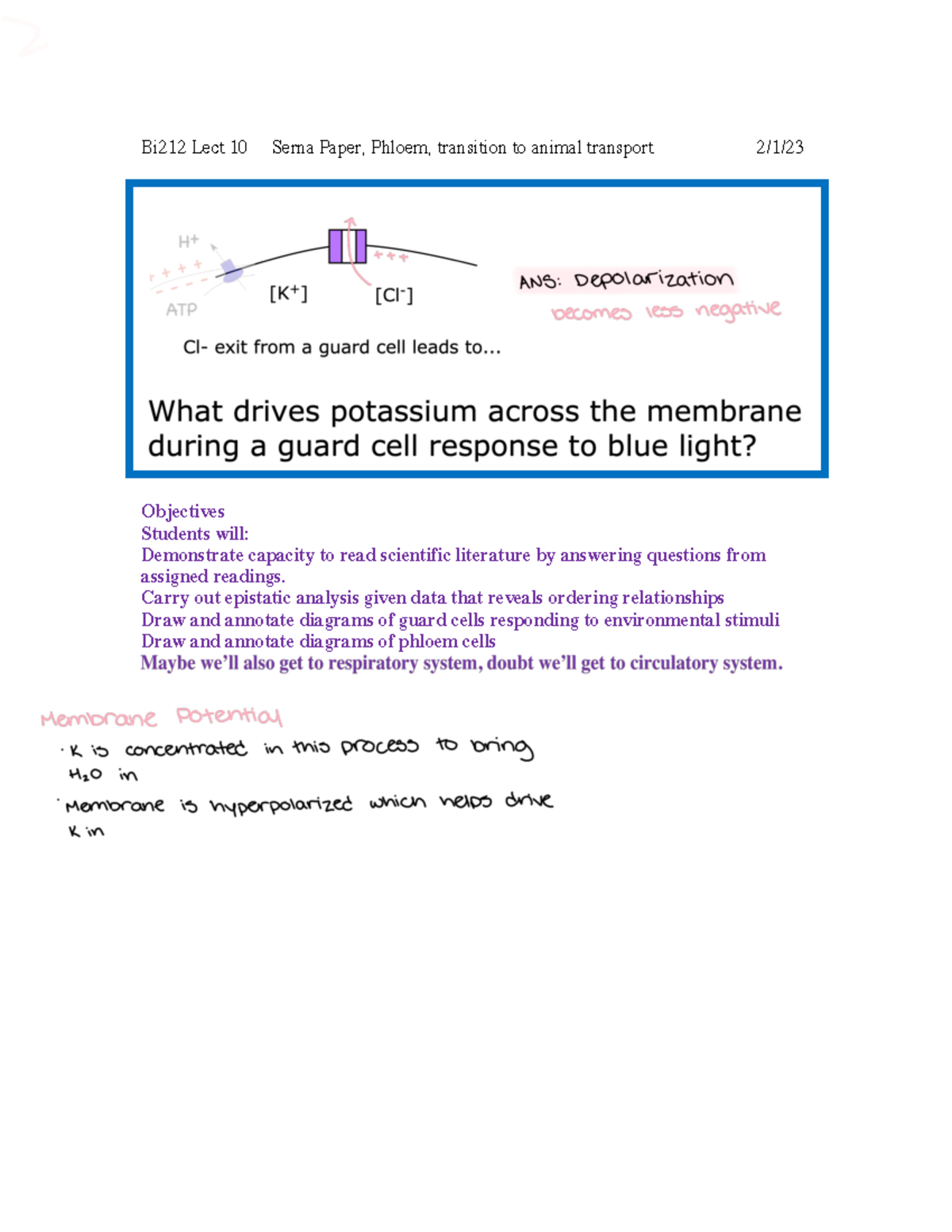 Pre-lecture 10. - Bi212 Lect 10 Serna Paper, Phloem, transition to ...