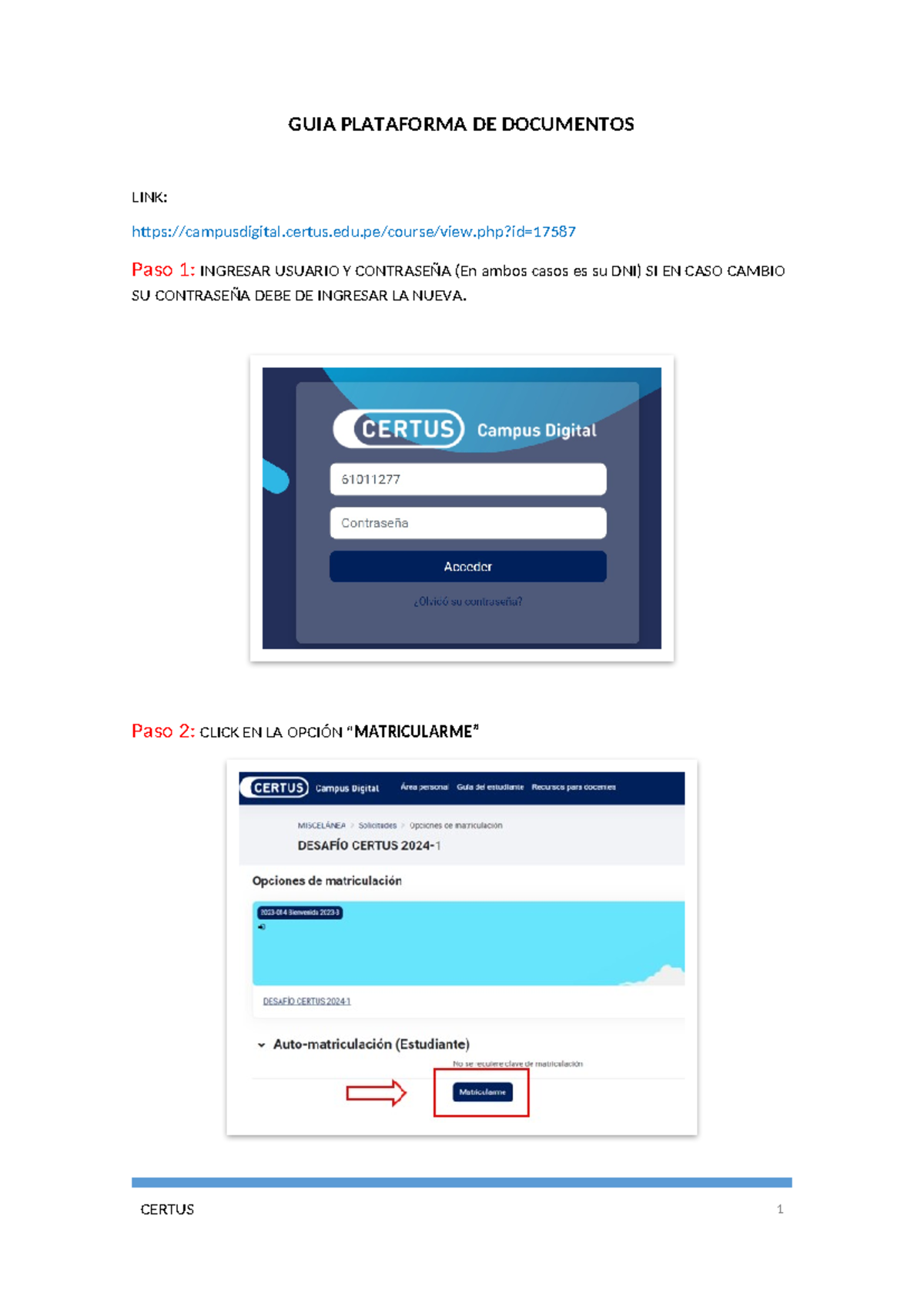 GUÍA PARA Subir Documentos 2024-1 - Estadística - GUIA PLATAFORMA DE ...