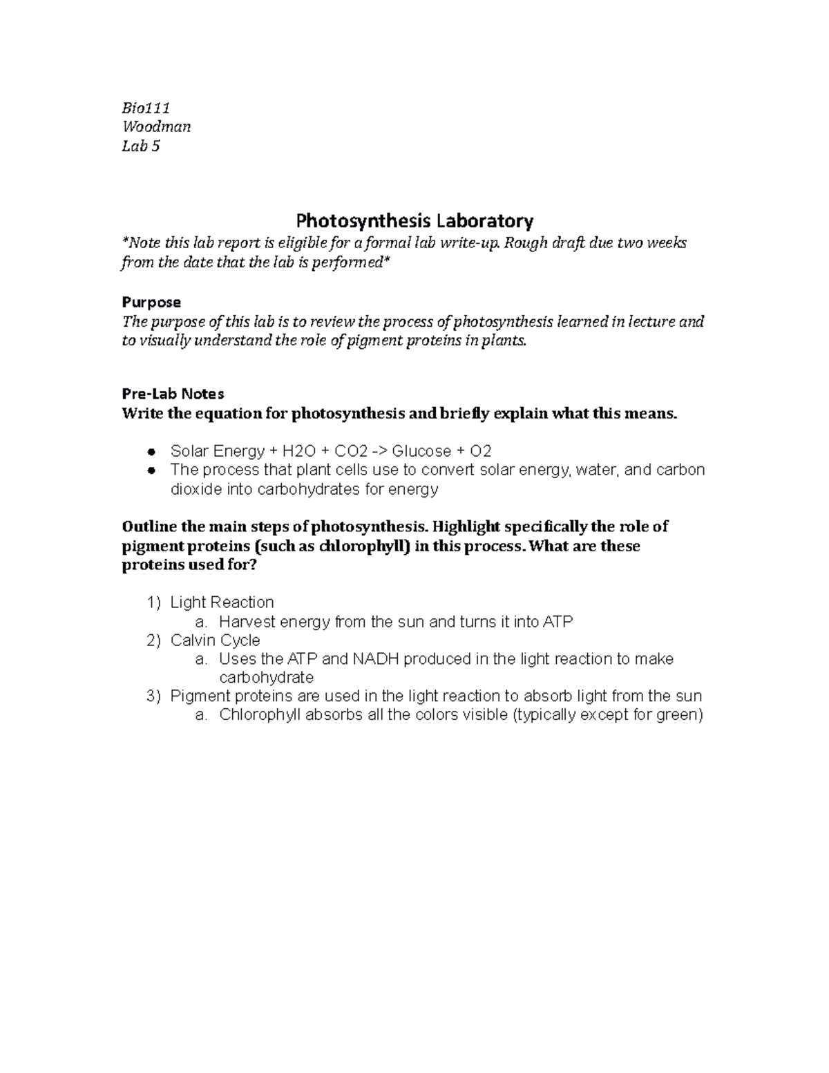 Photosynthesis Lab - Bio Woodman Lab 5 Photosynthesis Laboratory Note ...