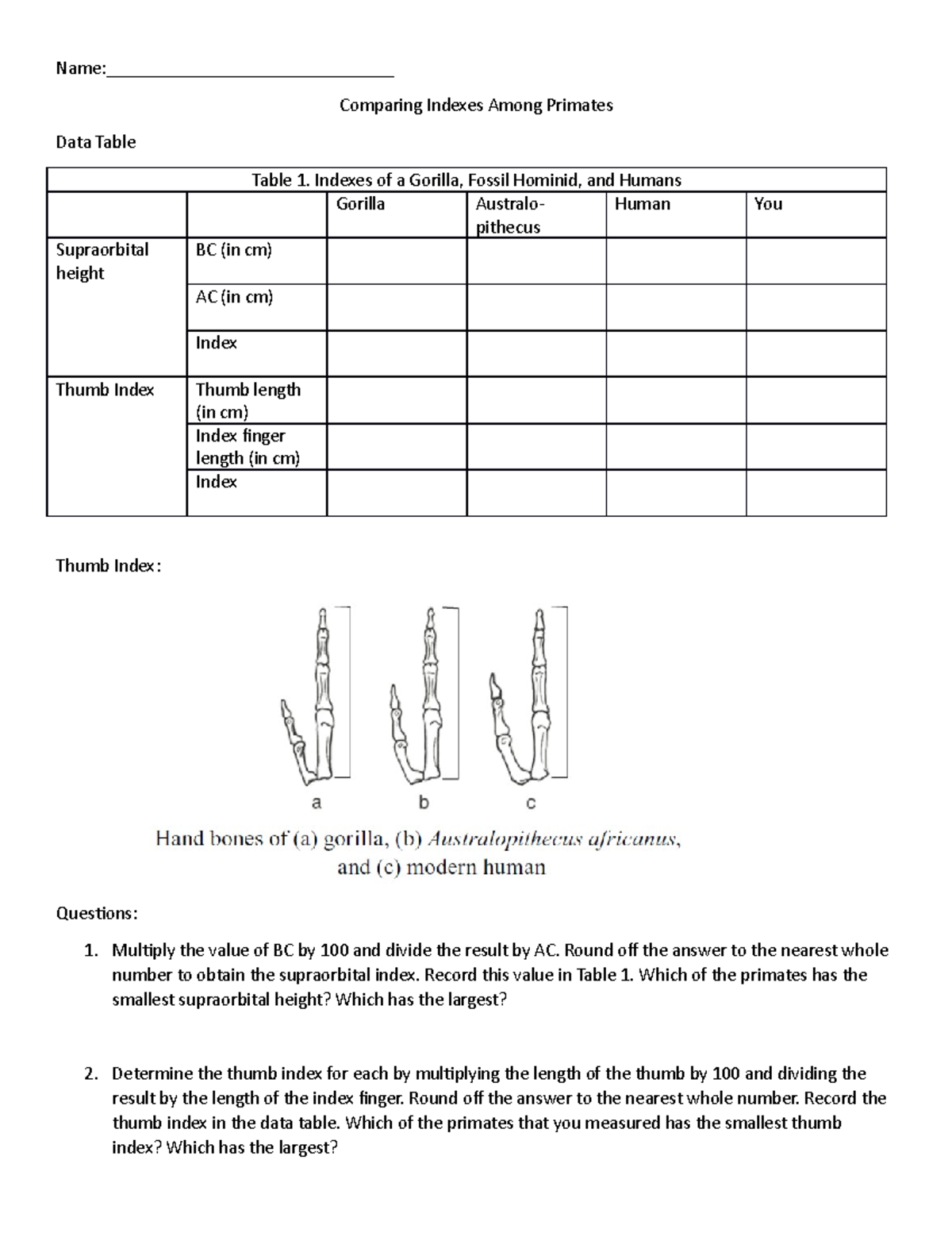 Hominid evolution lab data table and questions-day 2 - Name