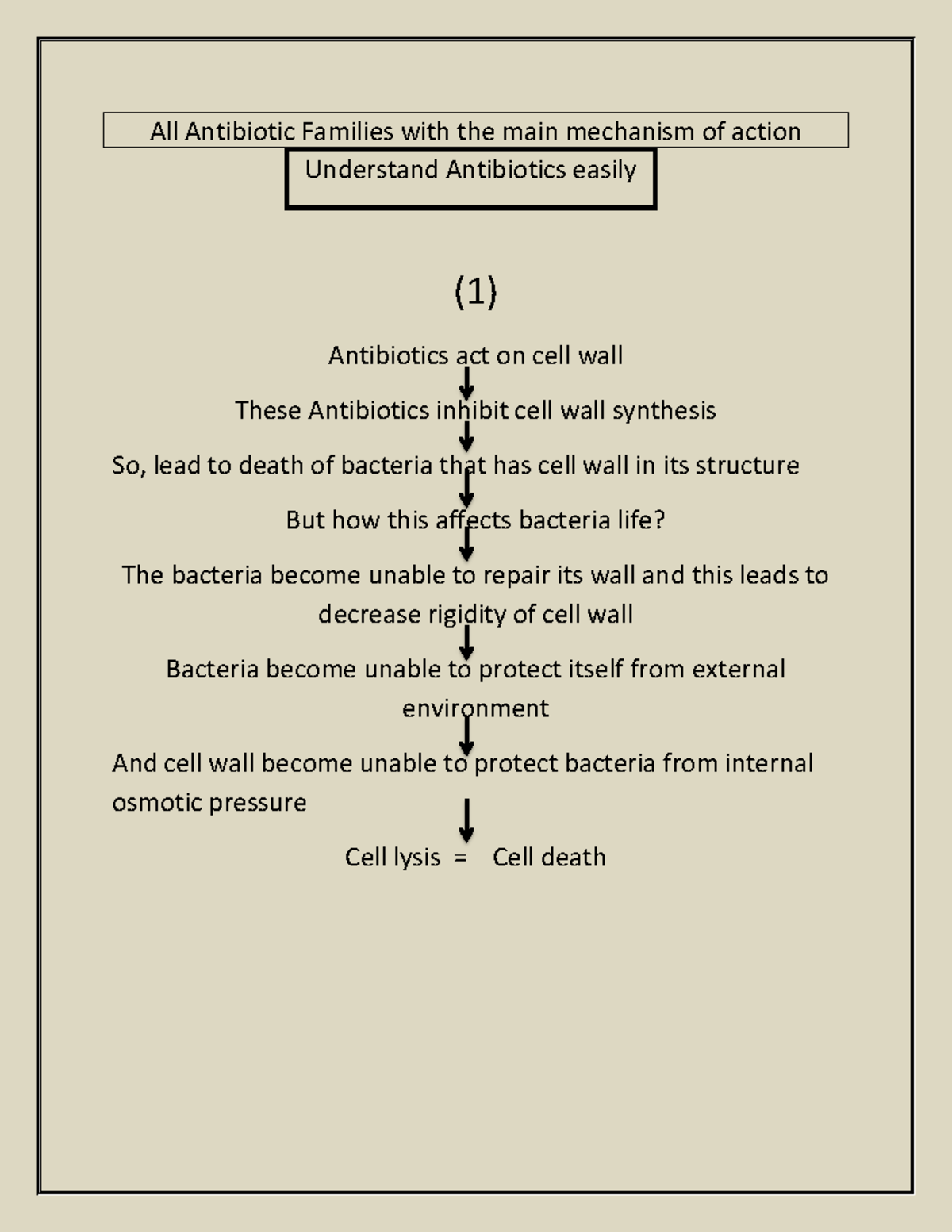 All Antibiotic Families with the main mechanism of action - 2 ...