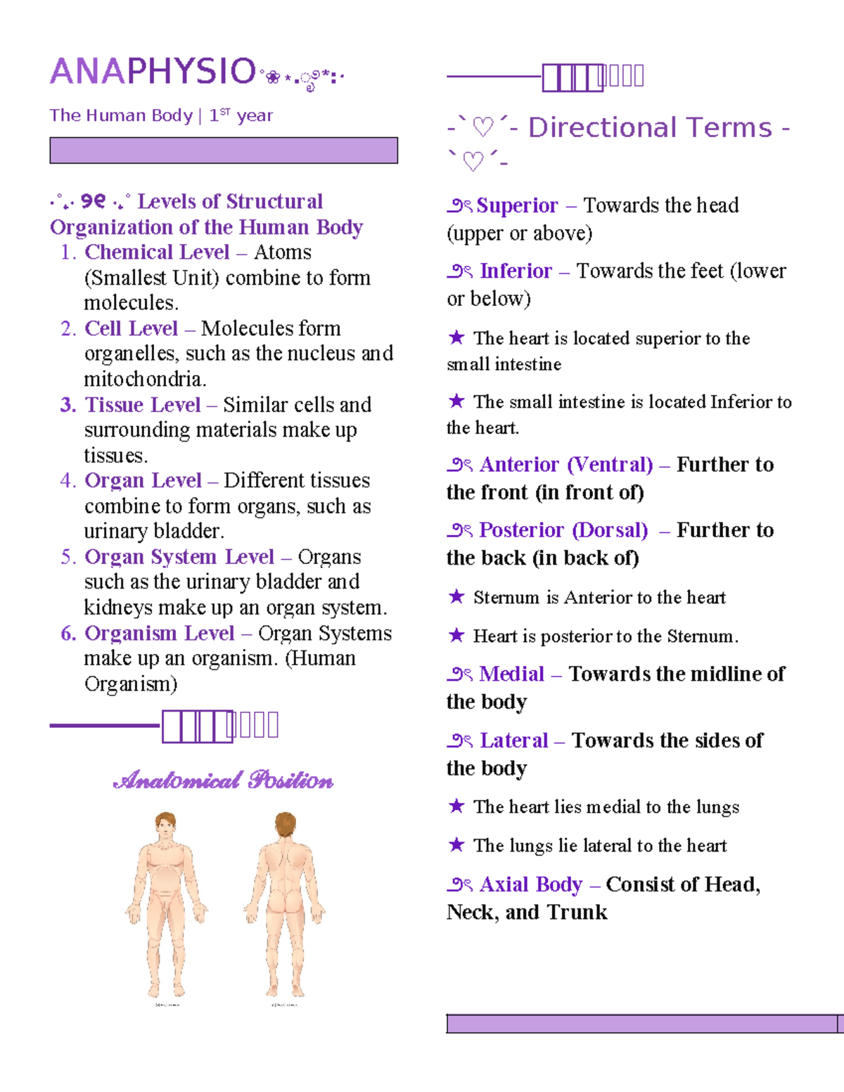 Transes ANPH - ANAPHYSIO° ⋆.ೃ ࿔*:･ The Human Body | 1ST year ⋅ ̊₊‧ ୨୧ ...