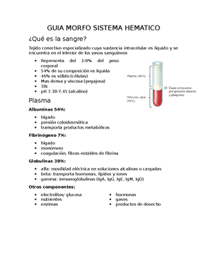 Anemia Ferropenica Triptico - 663 122 90 89 Centro Oncológico ...
