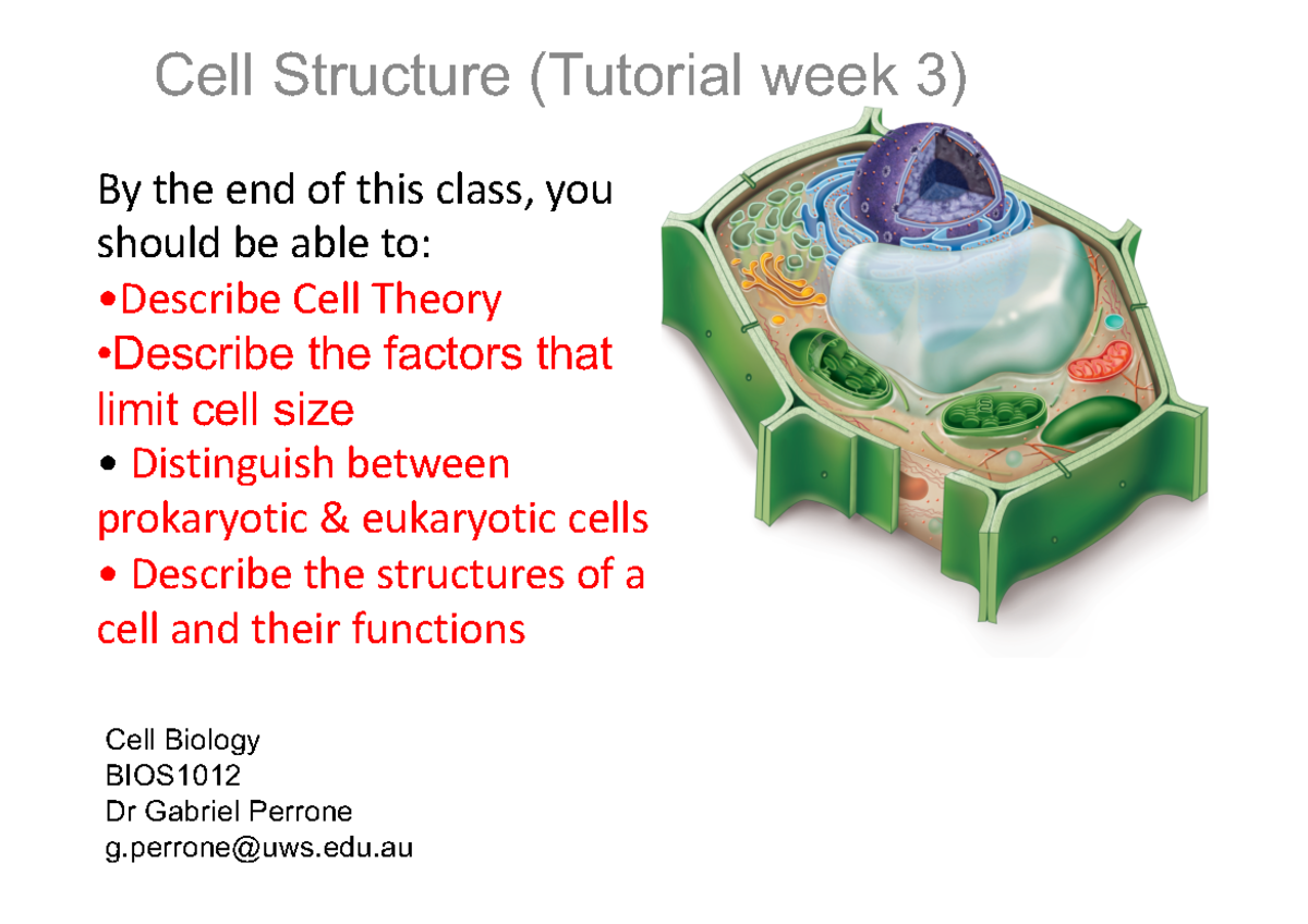 Httpslearn-ap-southeast-2-prod-fleet 01-xythos.content.blackboardcdn.com5df059da37b5519051347 ...