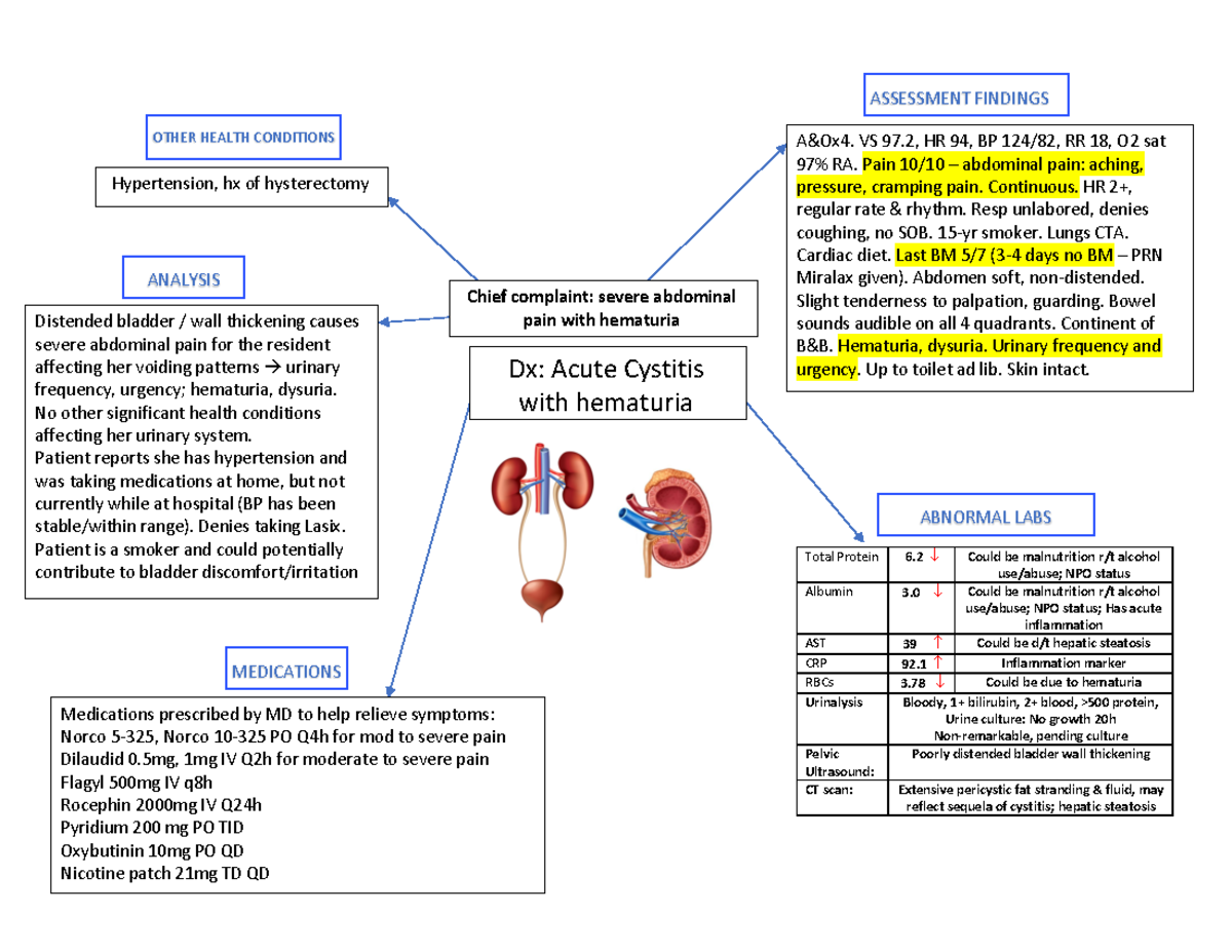 Concept Map Acute Cystitis - OTHER HEALTH CONDITIONS ASSESSMENT ...