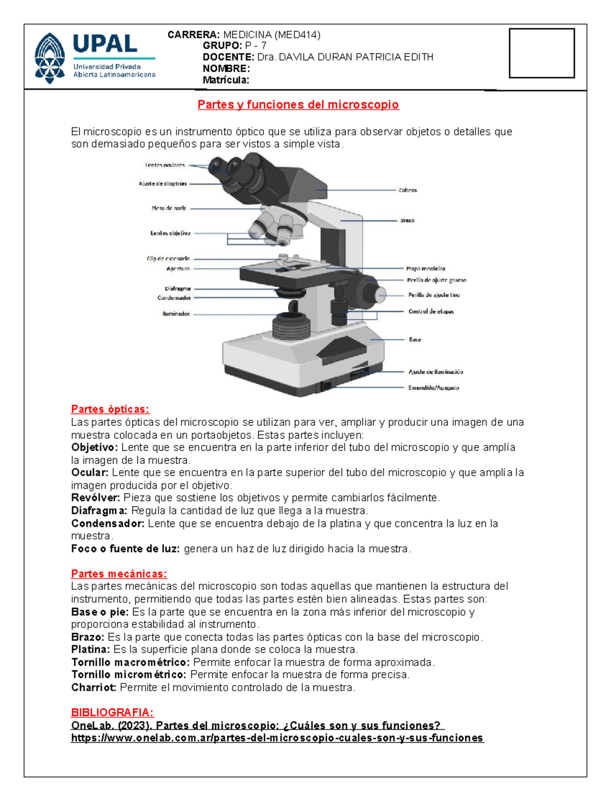 Microscopio Bioqui - tarea - CARRERA: MEDICINA (MED414) GRUPO: P - 7 ...