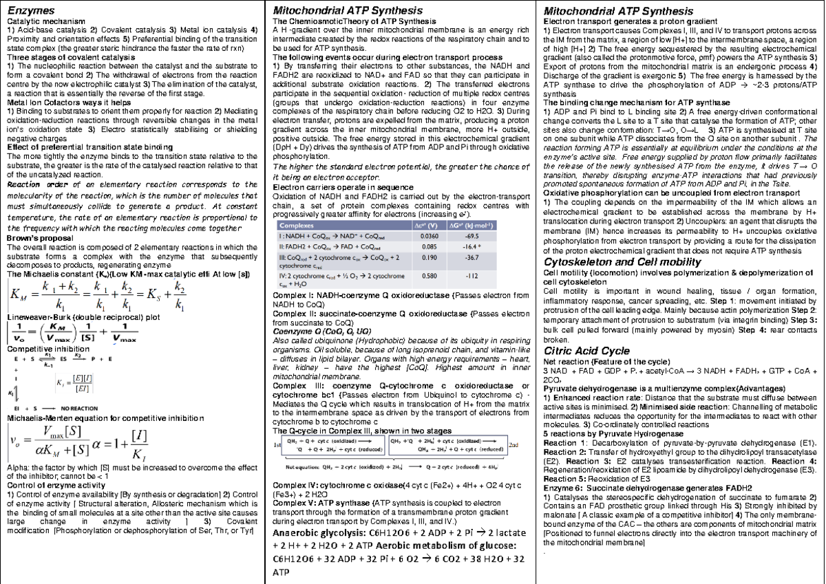 Cheat Sheet Bio Finals - Enzymes Catalytic mechanism Acid-base ...