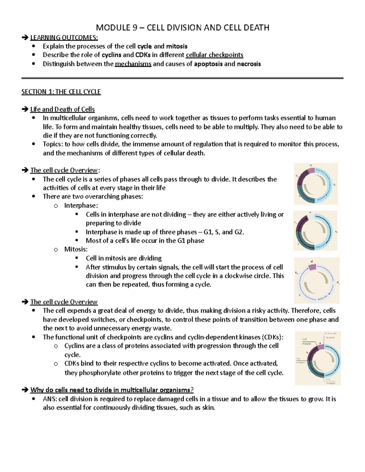 Module 9 - cell division and cell death - MODULE 9 – CELL DIVISION AND ...