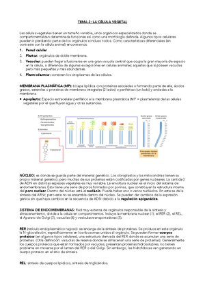 T1 - Introducción - TEMA 1: INTRODUCCIÓN A LA FISIOLOGÍA VEGETAL ¿QUÉ ...