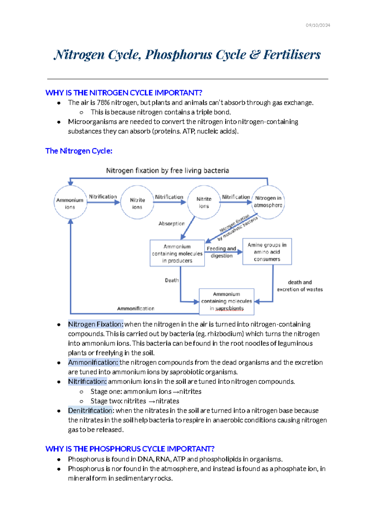 Nitrogen Cycle, Phosphorus Cycle & Fertilisers - Nitrogen Cycle ...