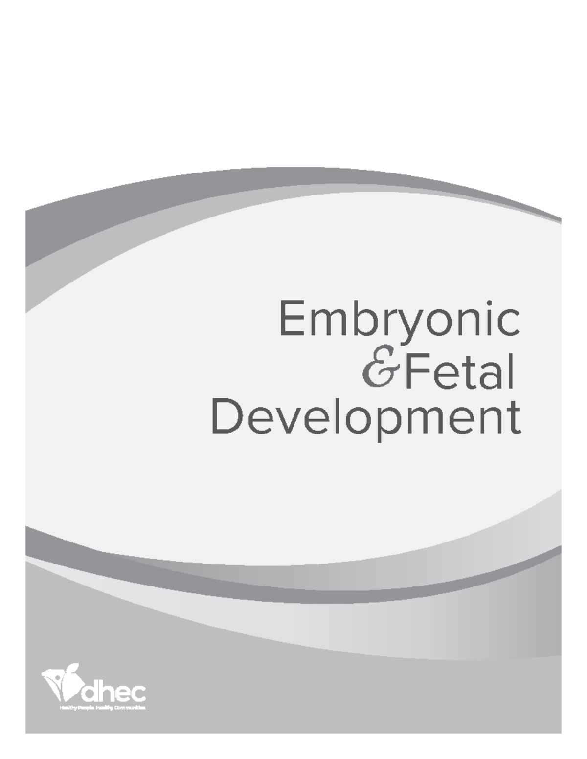 ML-017049 - It is about the fetus - Embryonic Fetal Development ...