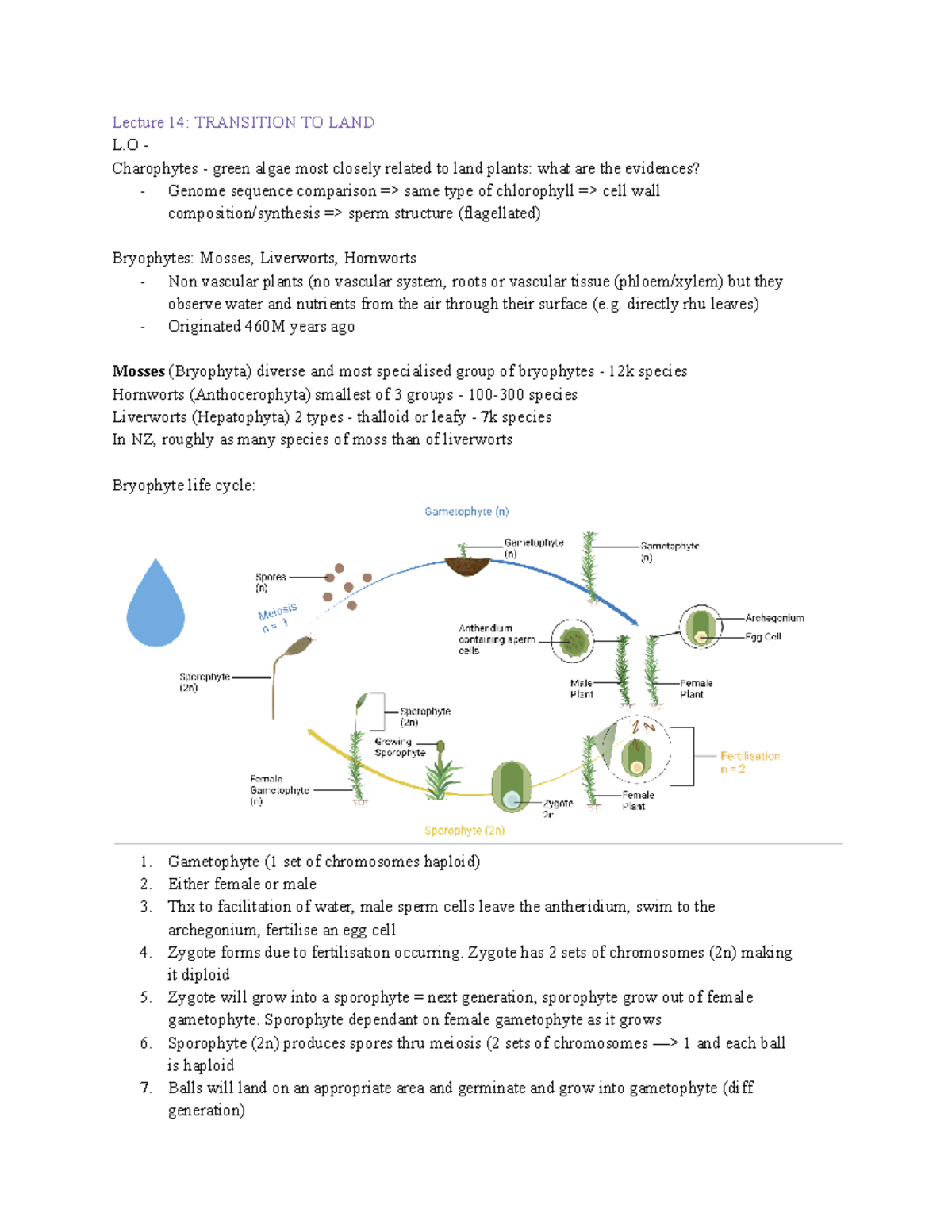 Lecture 14, 15, 16 & 18 Notes - Lecture 14: TRANSITION TO LAND L ...