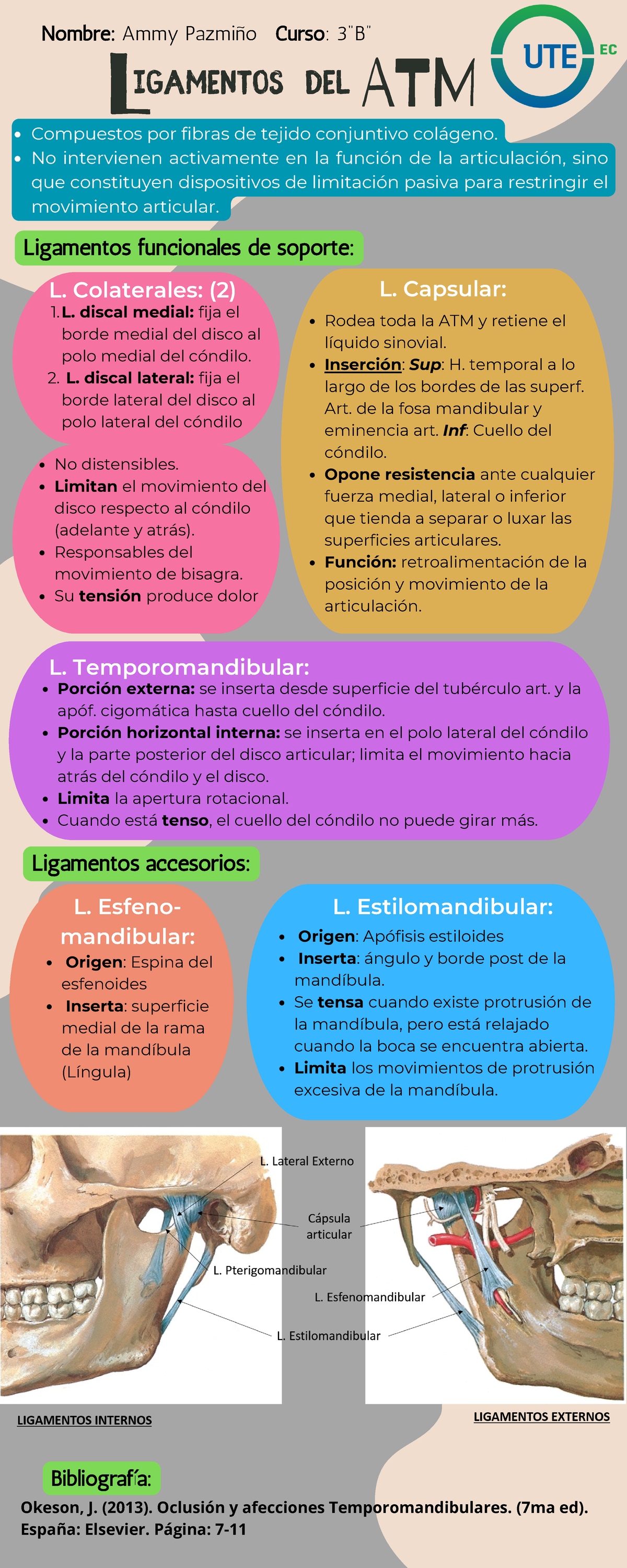 Ligamentos de la ATM - L. Colaterales: (2) L. discal medial: fija el ...