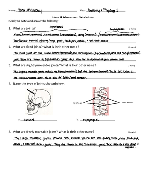Bone Tissue Labeling - Skeletal system labeling - 1 THE HUMAN SKELETON ...
