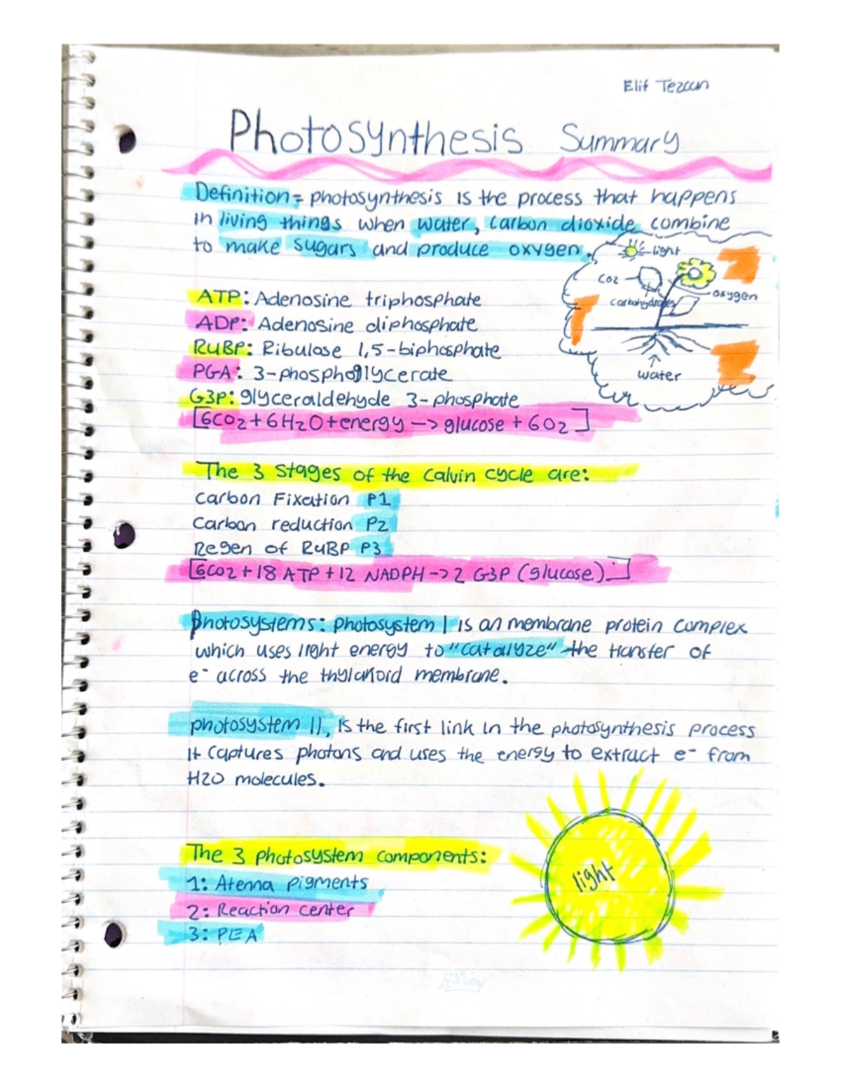 Photosynthesis Summary - photosystem 11, is the first link in the ...