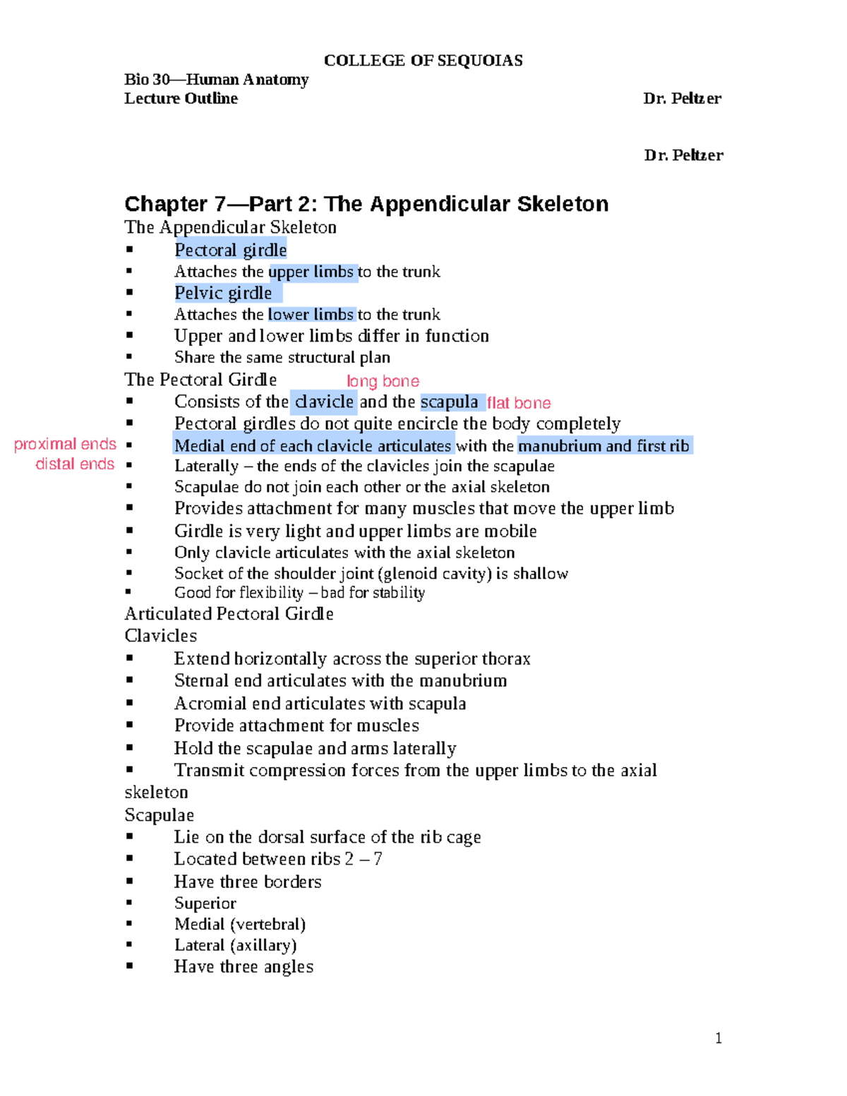 Ch. 7-Part 2 Outline - Bio 30—Human Anatomy Lecture Outline Dr. Peltzer Dr. Peltzer Chapter 7 ...