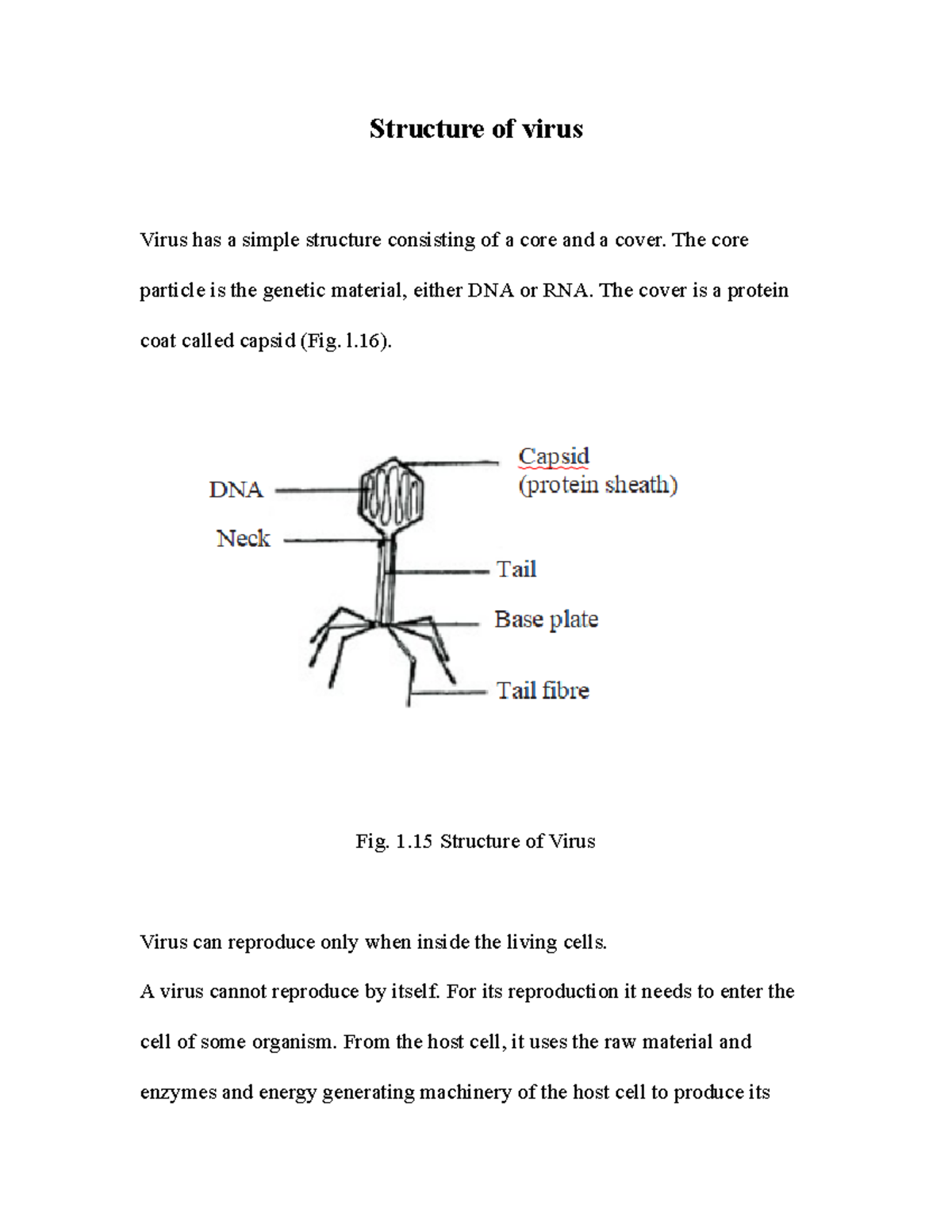 Structure of virus - Structure of virus Virus has a simple structure ...