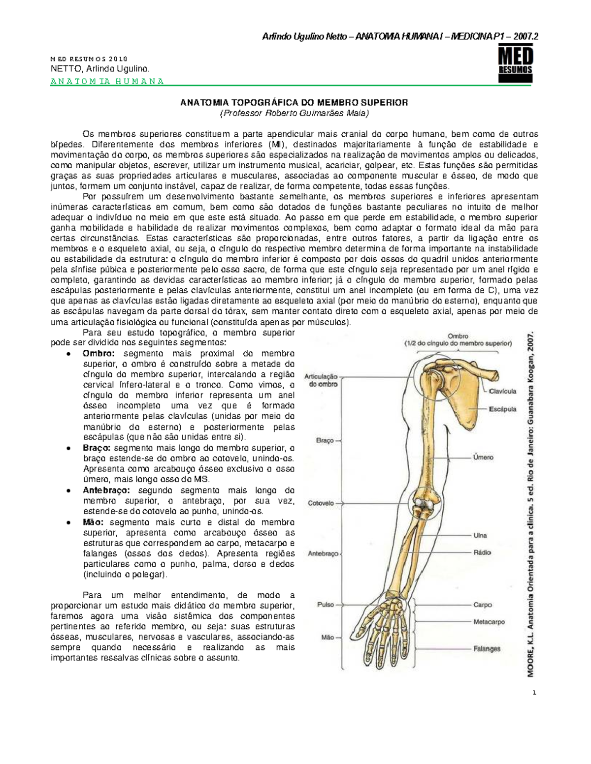 Anatomia do Membro superior - Arlindo Ugulino Netto ANATOMIA HUMANA I ...