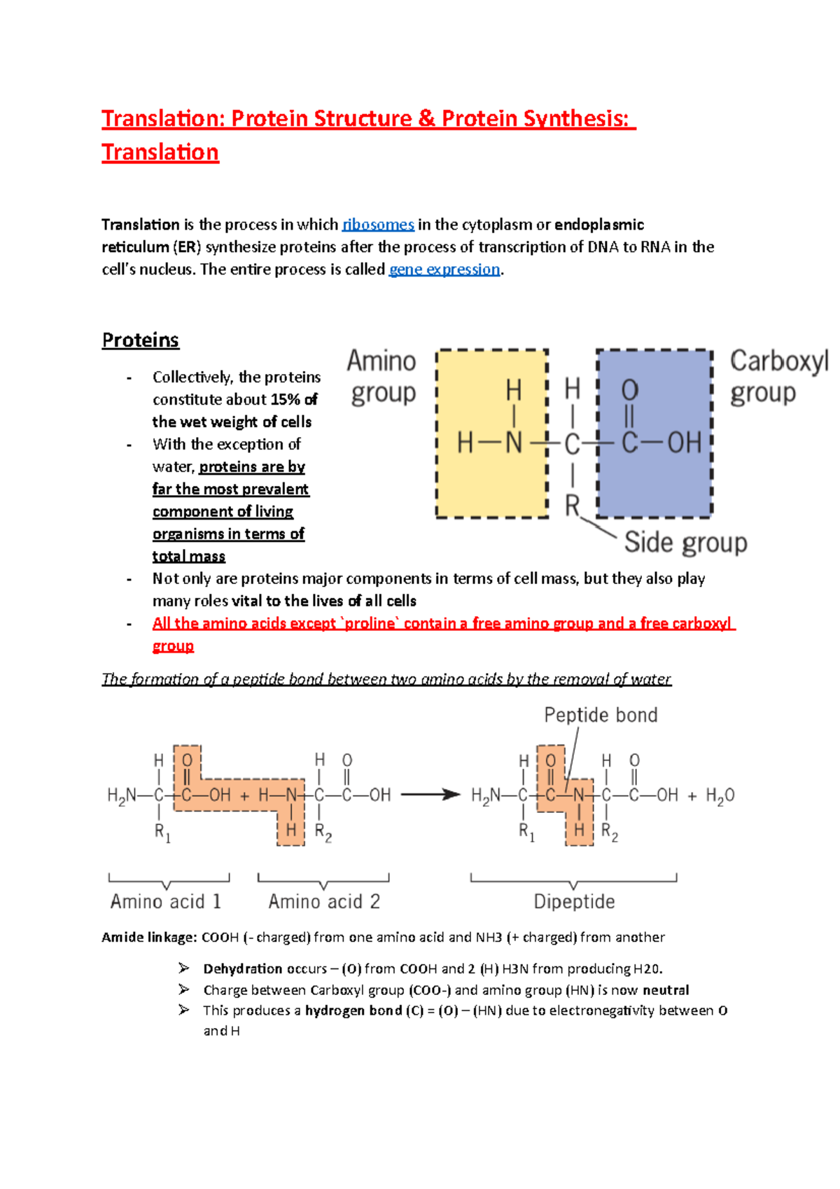 Life Science 1 - Translation Notes - Translation: Protein Structure ...