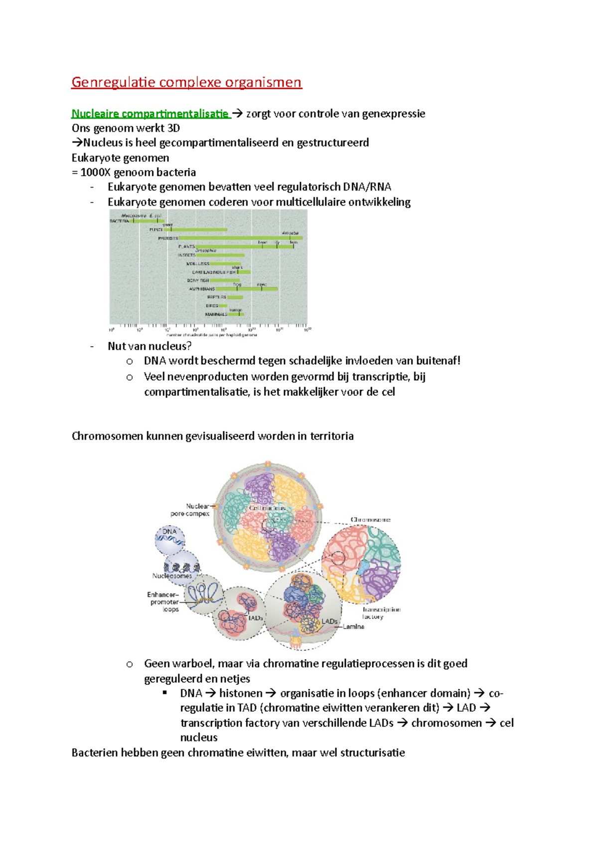 Genregulatie-complexe-organismen-gevorderde moleculaire celbiologie ...